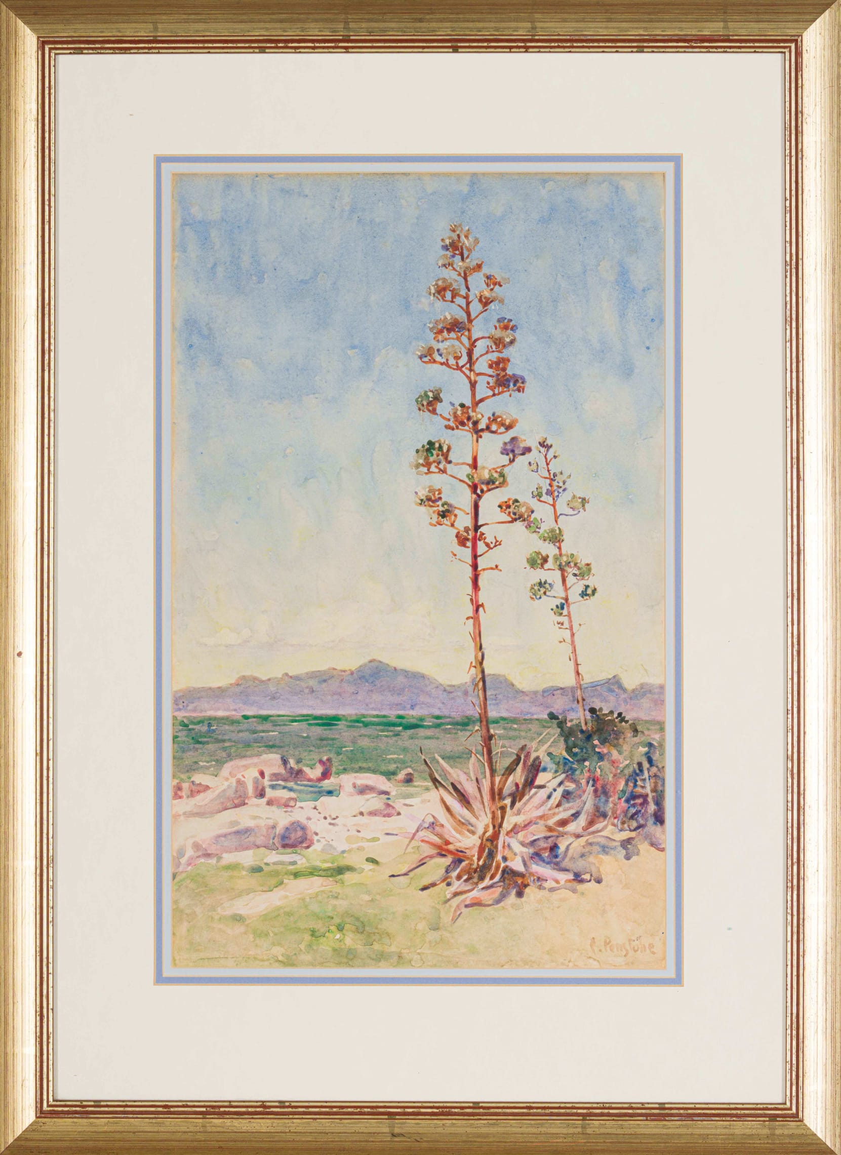 A G Miller's Point by Constance Penstone | Strauss & Co