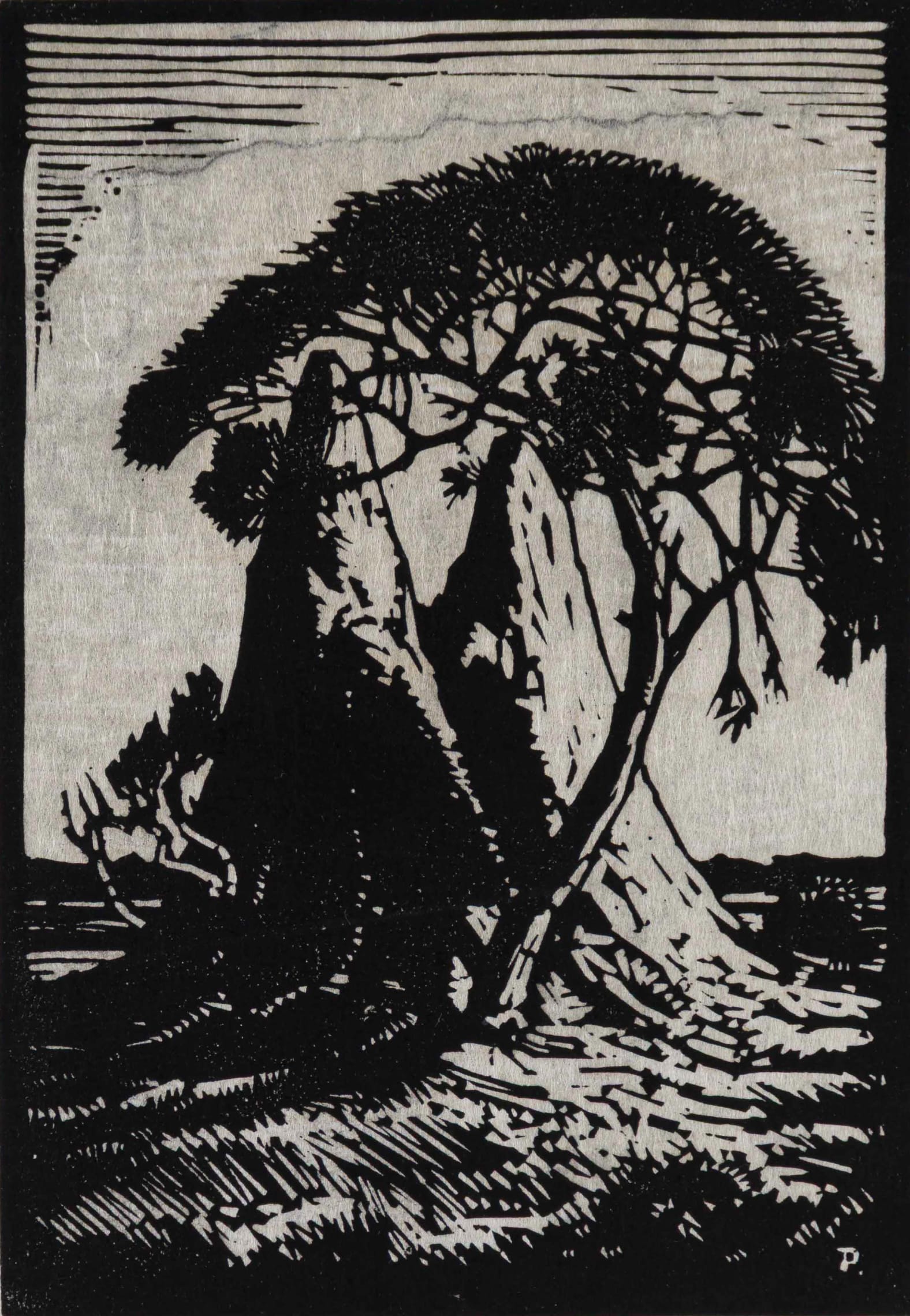 Miershope, SWA (Anthills in South West Africa) (Nilant 113) by Jacob ...