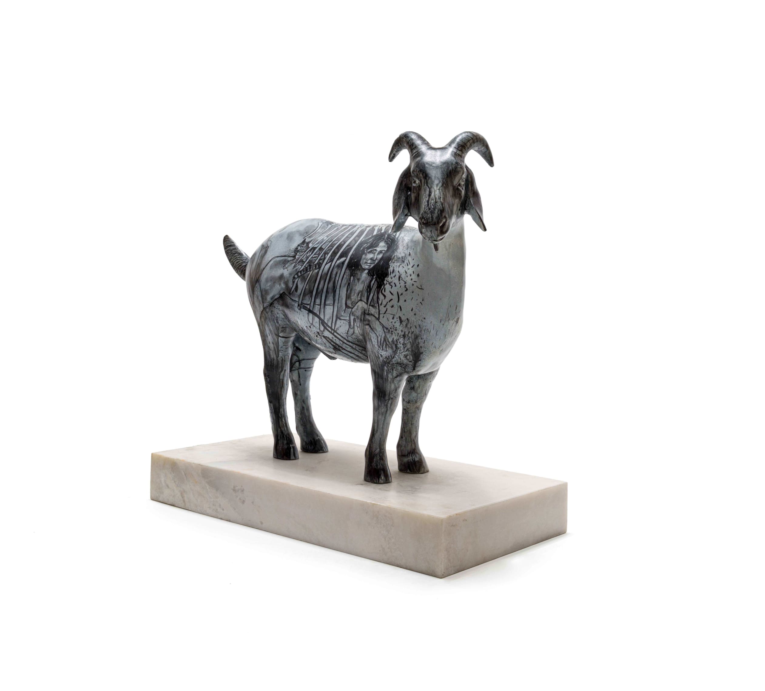 The Scape Goat Series: Goat Girls by Diane Victor and Ruhan Janse van ...