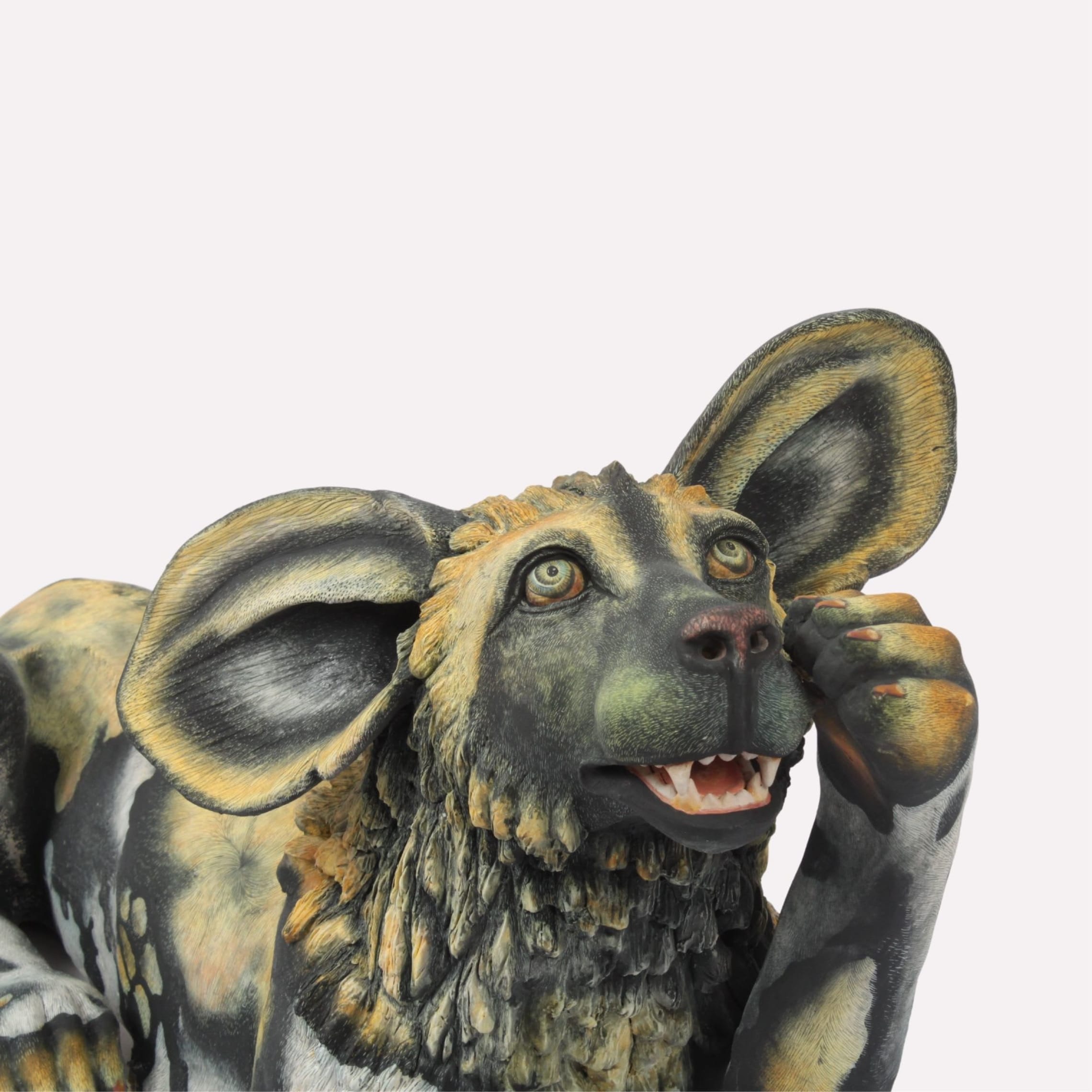 Wild Dog by Senzo Ntshalintshali & Siyabonga Mabaso | Strauss & Co