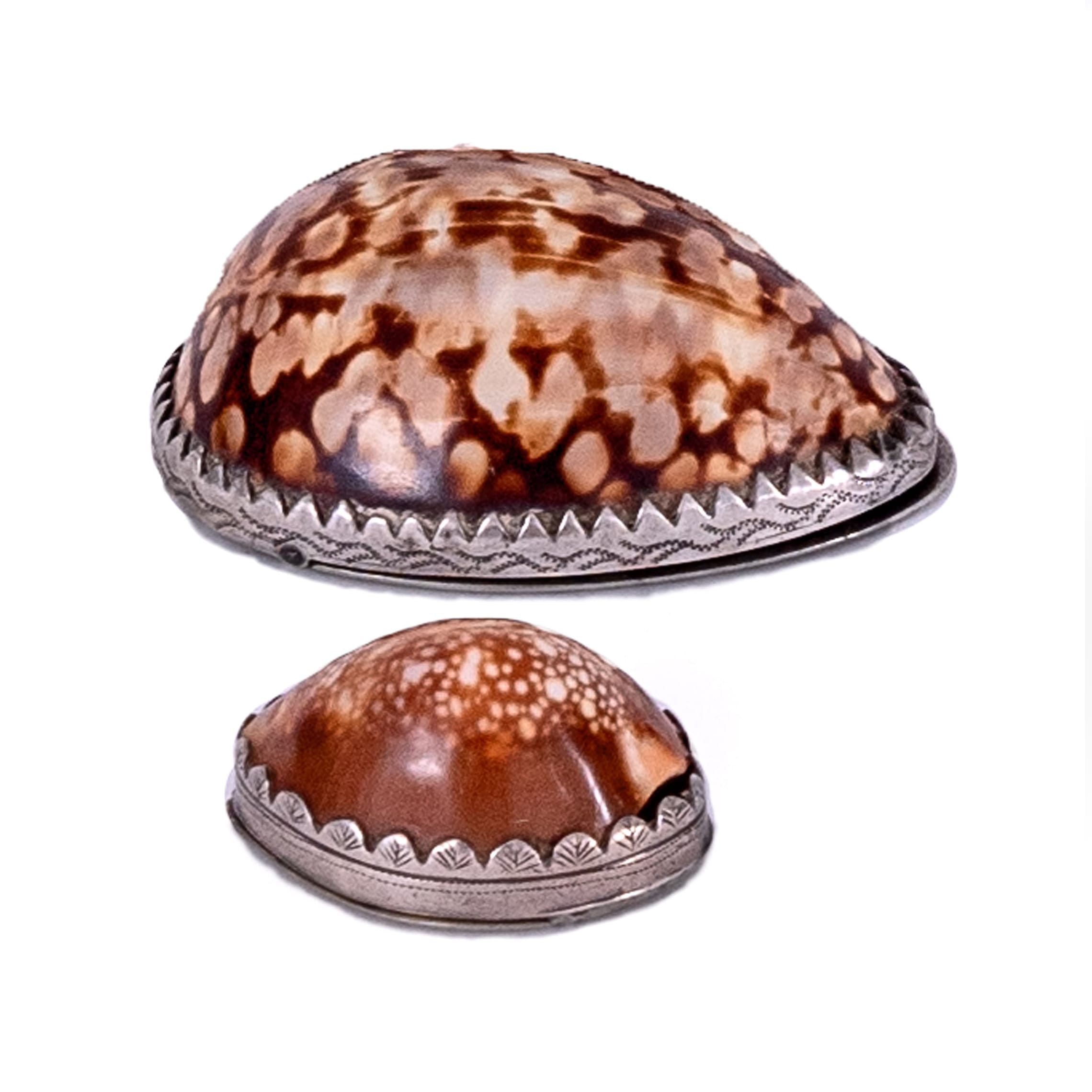 A Cape silver-mounted cowrie shell snuff box, Daniel Hockly, c.1787 ...