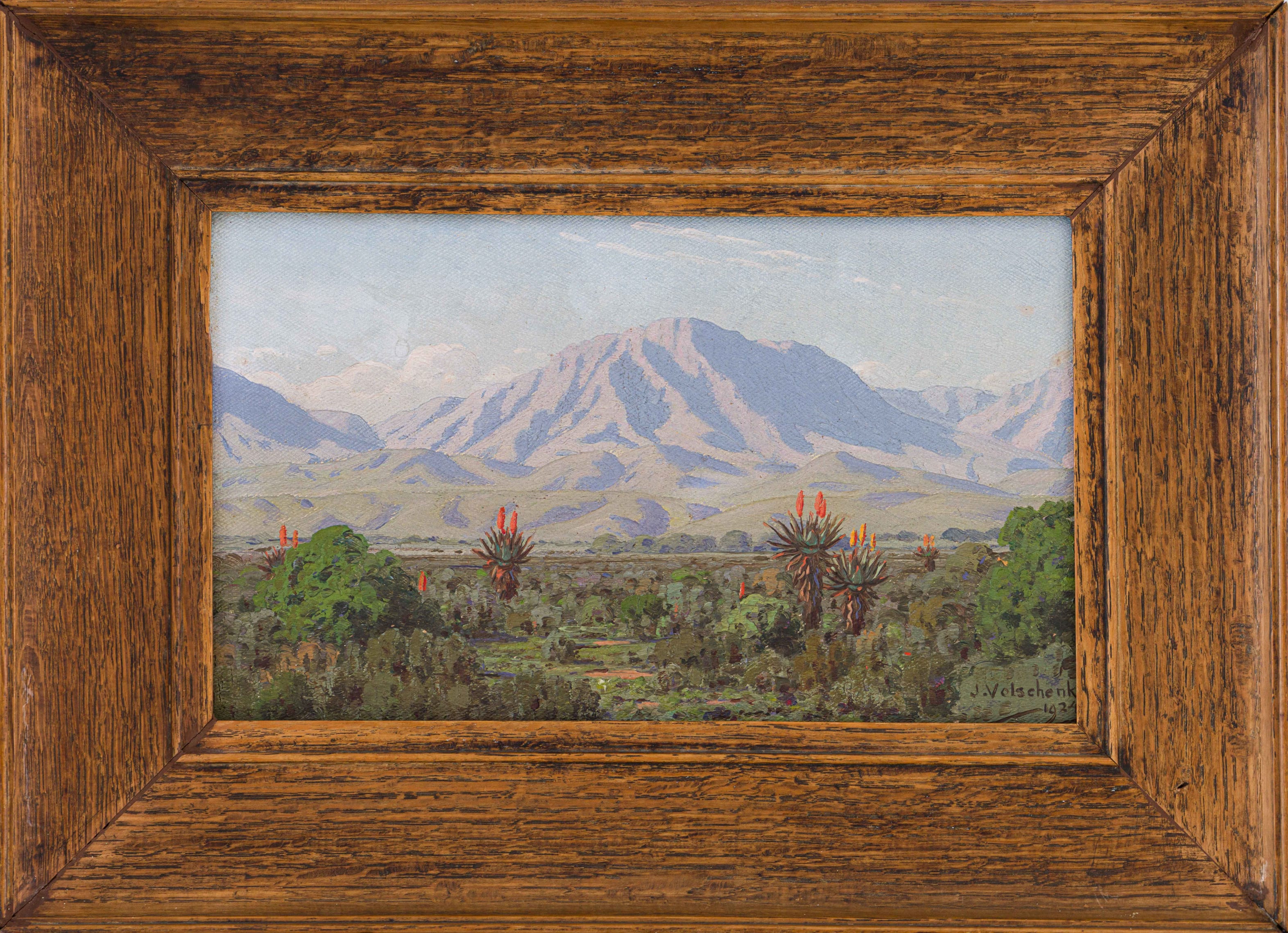 Riversdale Veld and Hills by Jan Ernst Abraham Volschenk | Strauss & Co