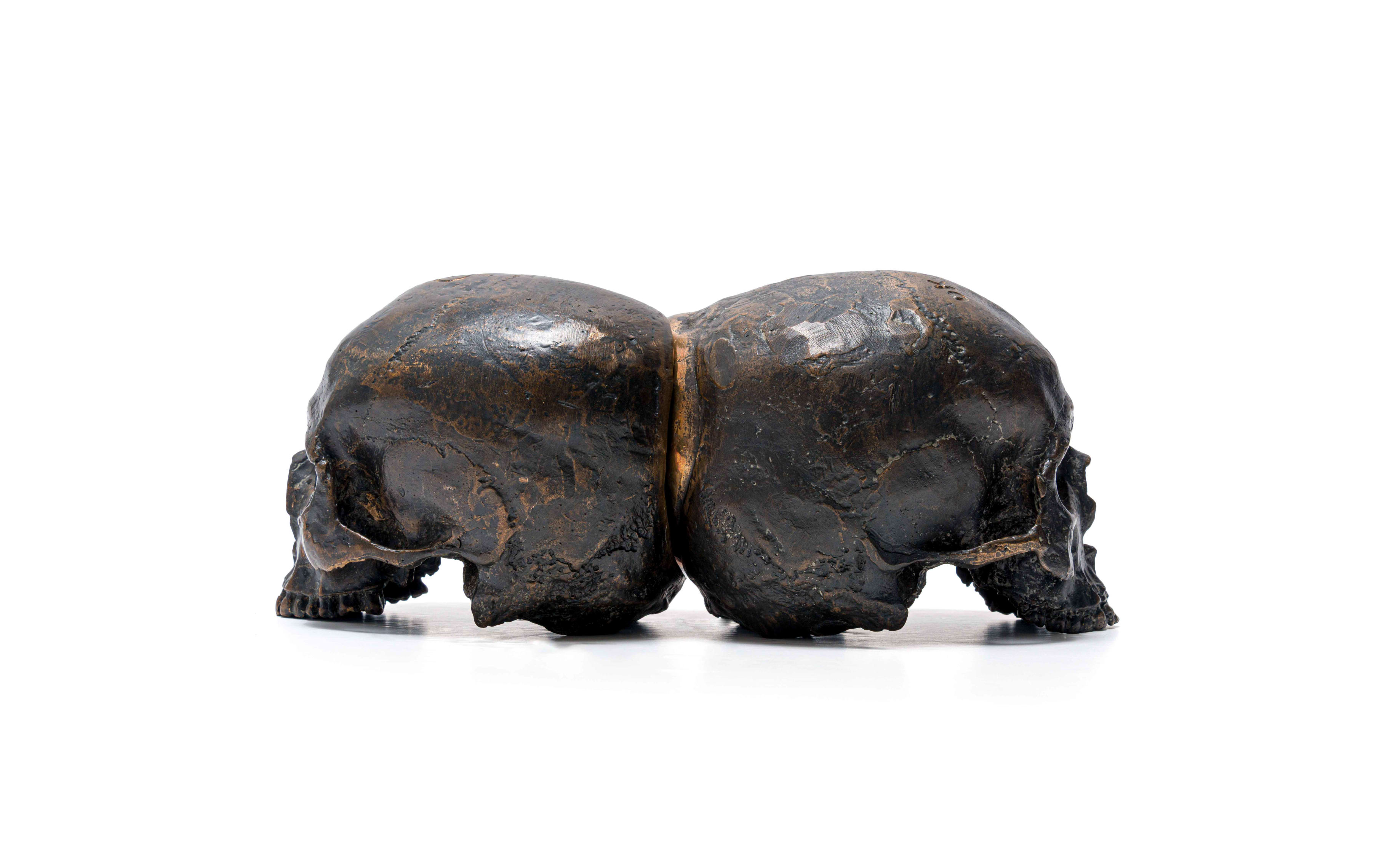 Skulls Pos+Neg by Guy du Toit | Strauss & Co