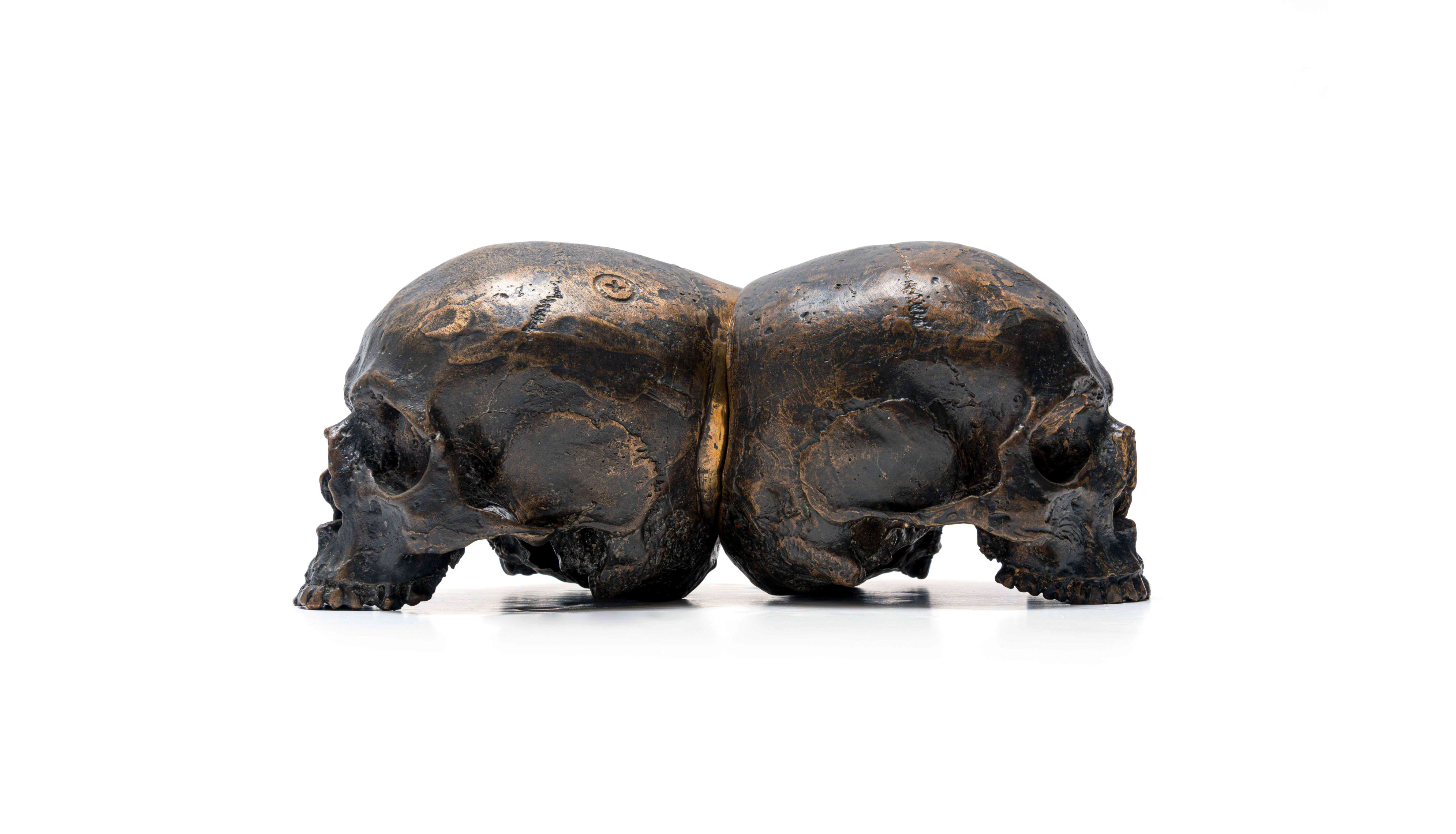 Skulls Pos+Neg by Guy du Toit | Strauss & Co