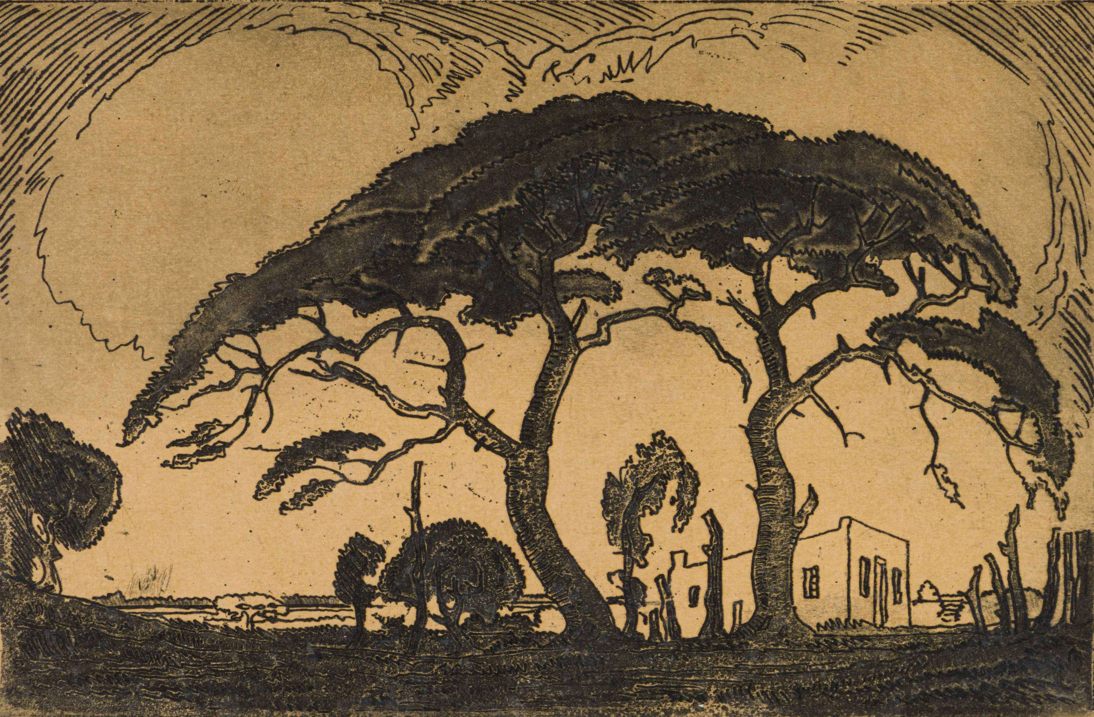Camel Thorn and Voortrekker House by Jacob Hendrik Pierneef | Strauss & Co