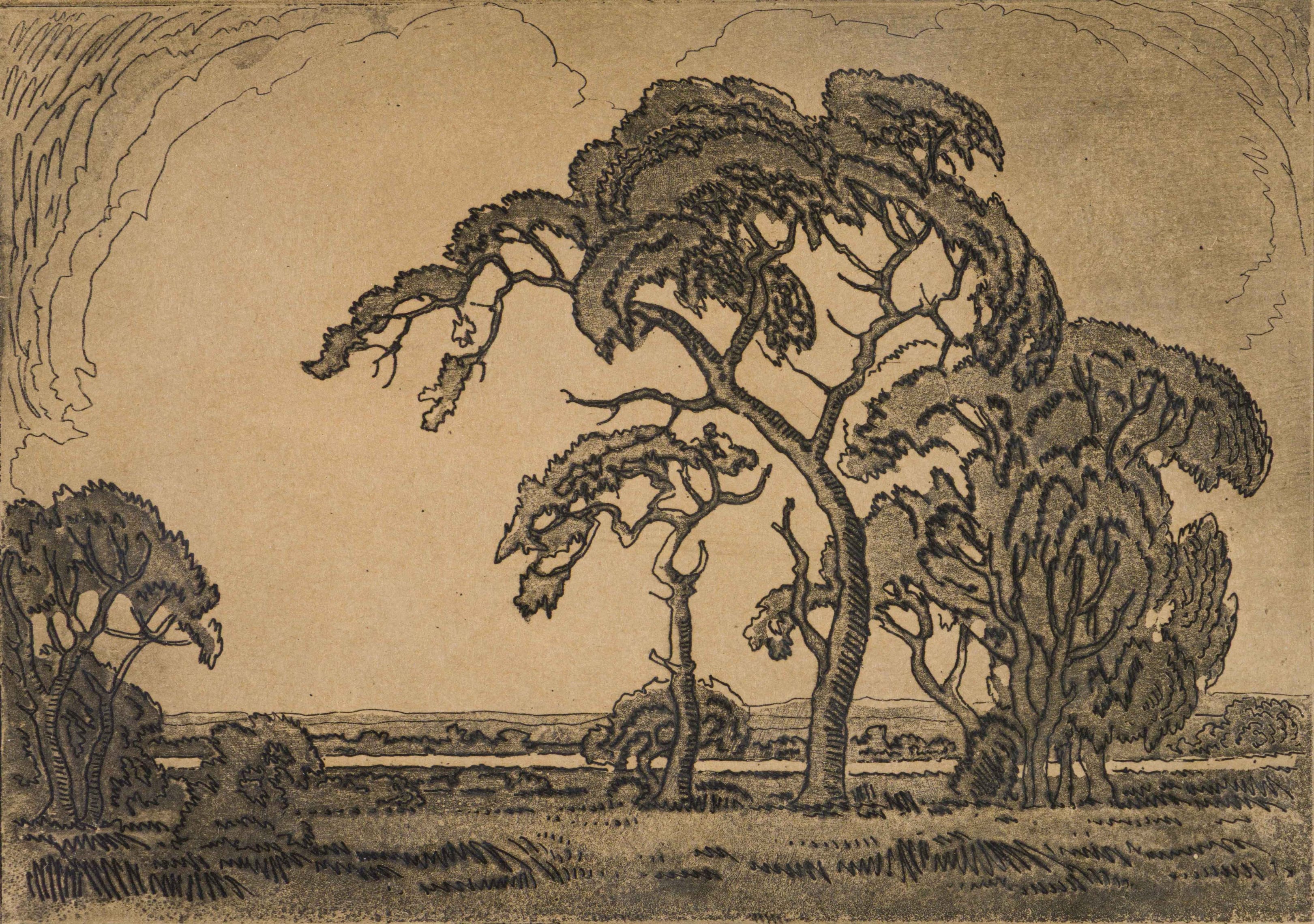 Camel Thorn, Springbok Flats by Jacob Hendrik Pierneef | Strauss & Co
