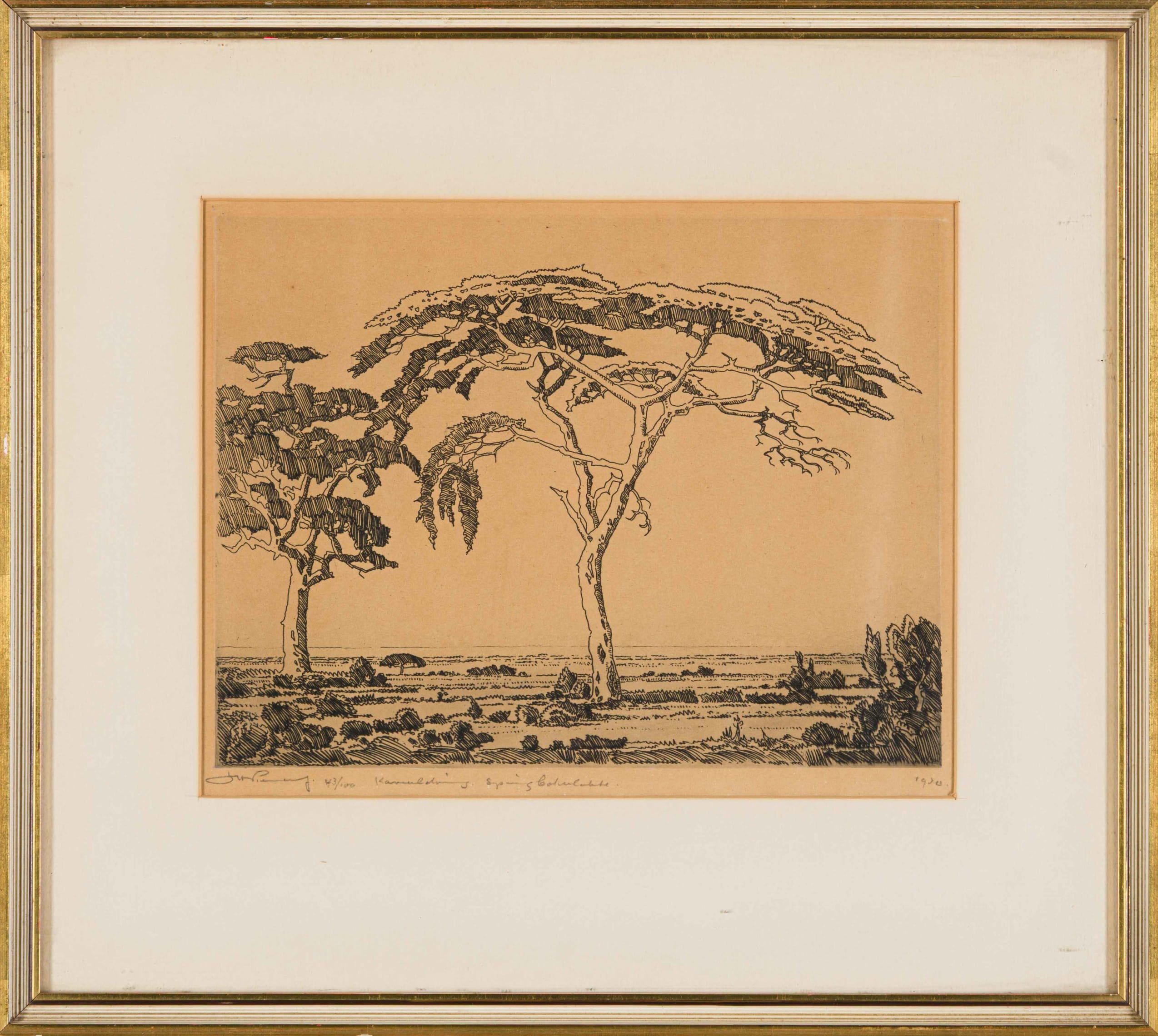 Camelthorn Springbok Flats by Jacob Hendrik Pierneef | Strauss & Co