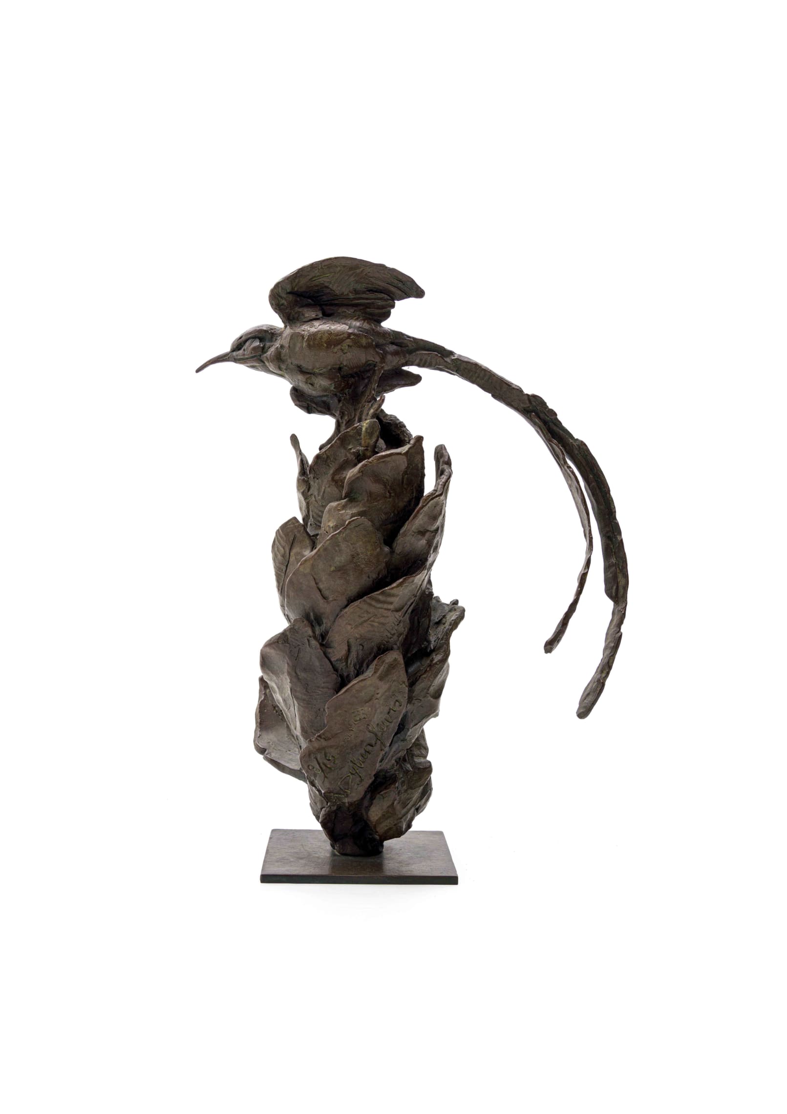 Cape Sugarbird (S341) by Dylan Lewis | Strauss & Co