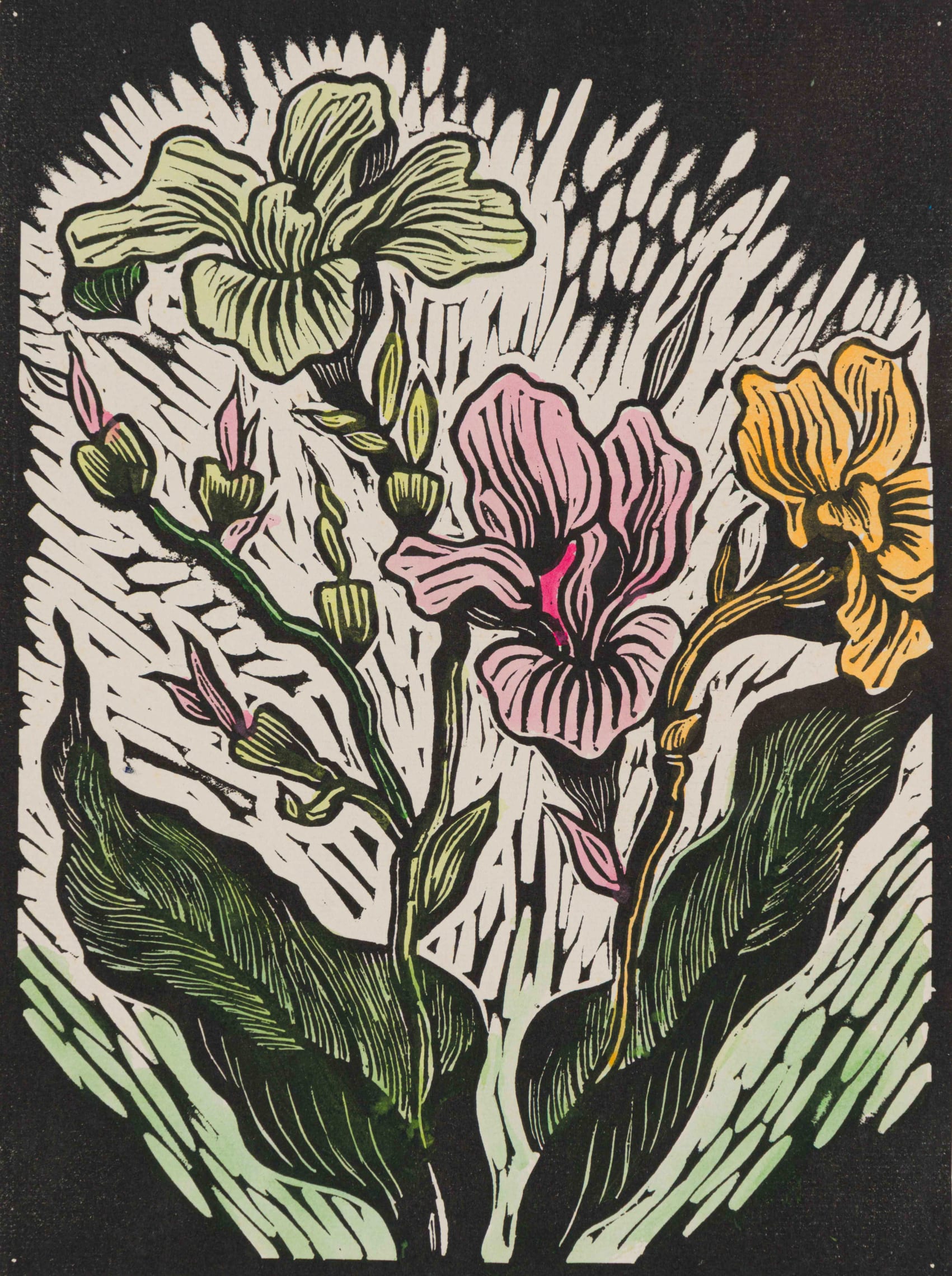 Canna Lilies by Gregoire Boonzaier | Strauss & Co