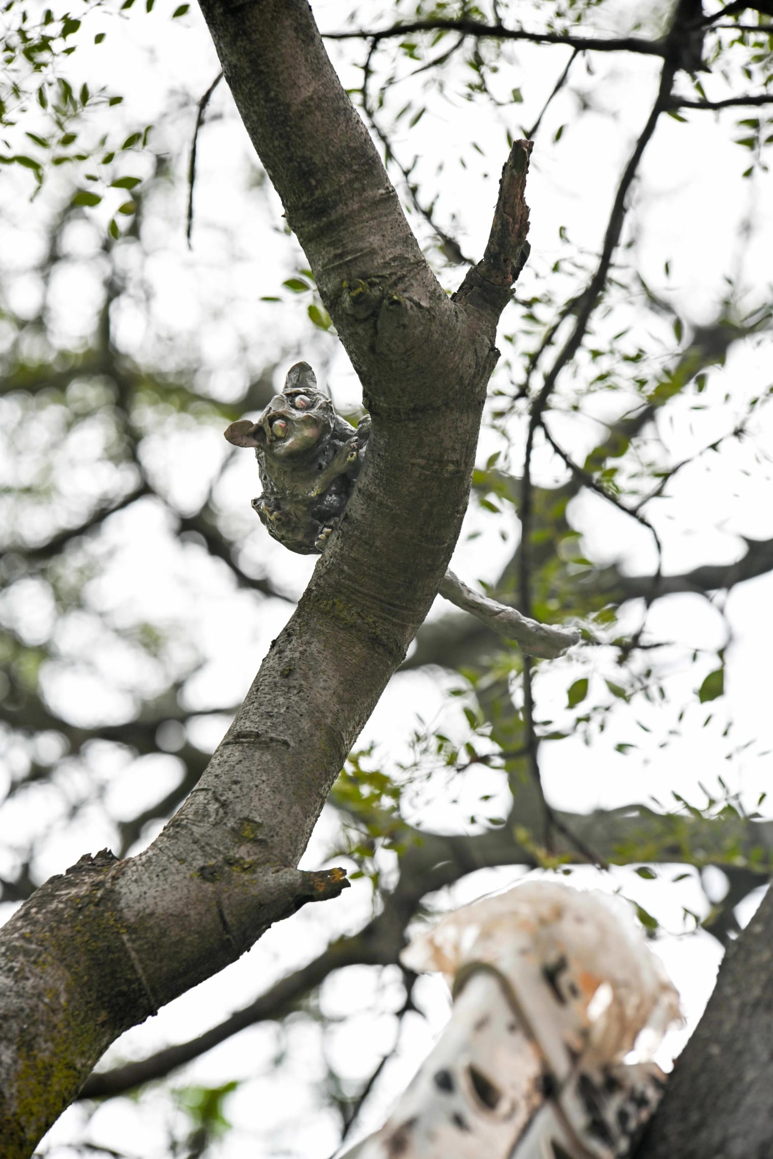 Bush Baby III, The Last Light Series by Stefanie de Beer | Strauss & Co