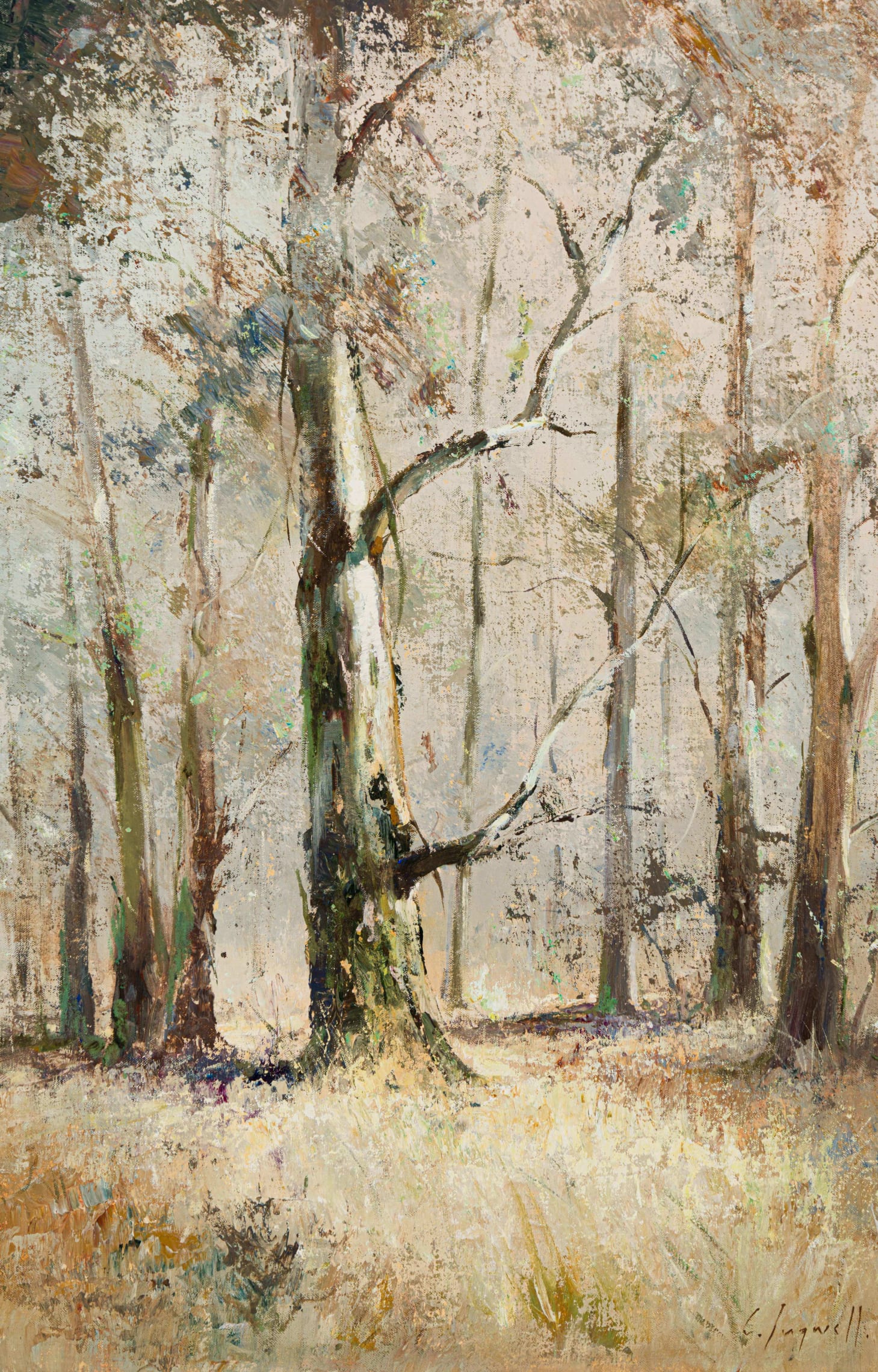 Forest by Christopher Tugwell | Strauss & Co