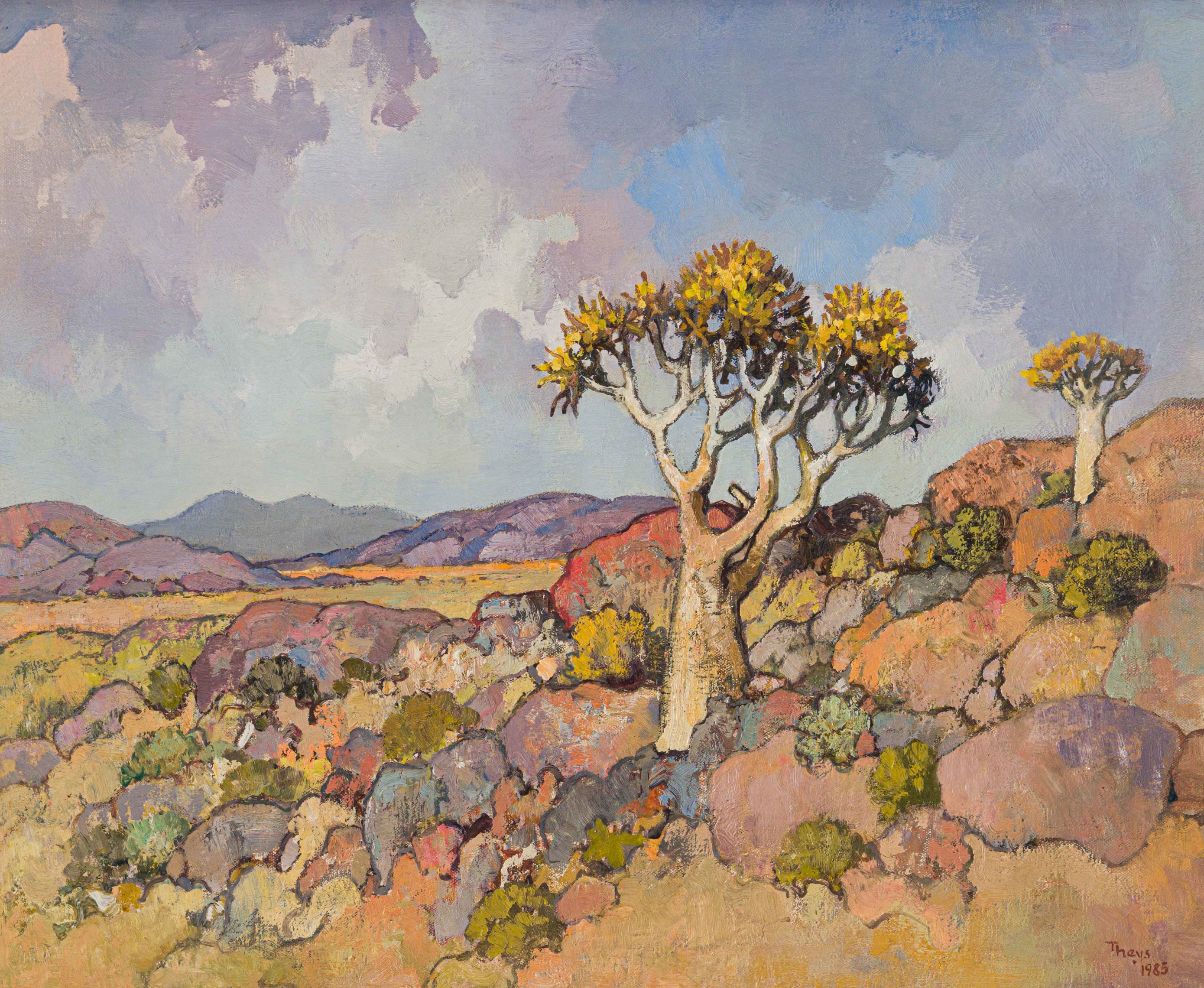Kokerboom in Bloei, Namakwaland (Quiver Tree in Bloom, Namaqualand) by ...