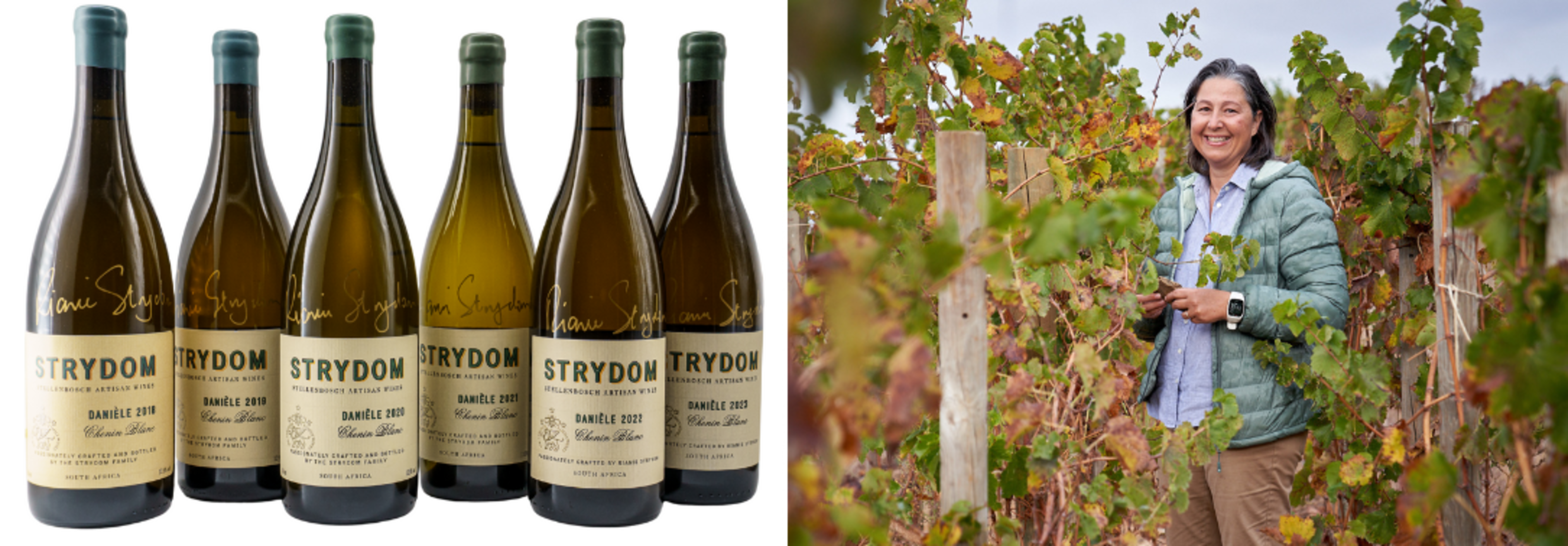 Rianie Strydom - Strydom Family Wines | Strauss & Co