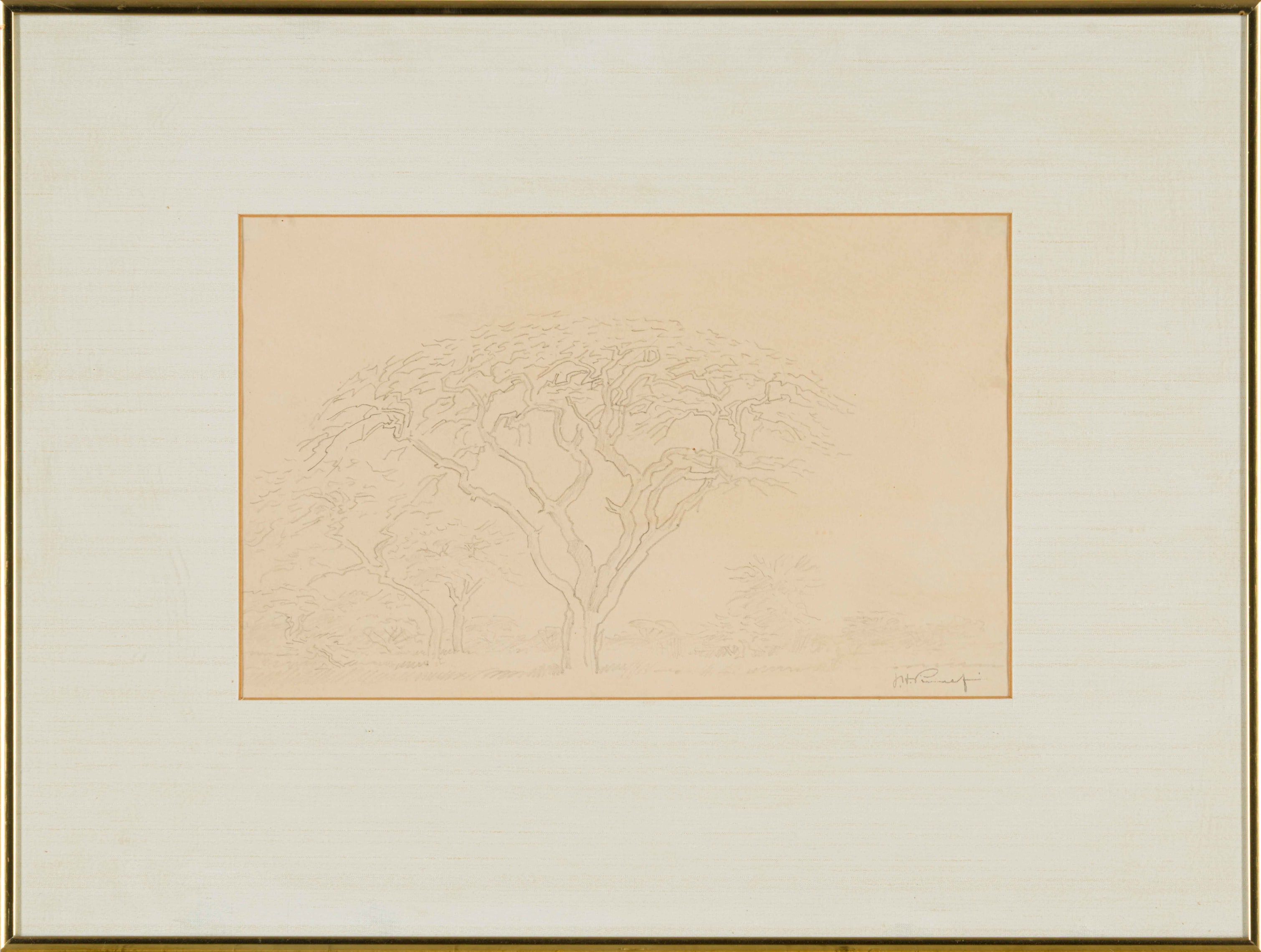Bushveld Landscape with Acacia Tree by Jacob Hendrik Pierneef | Strauss ...