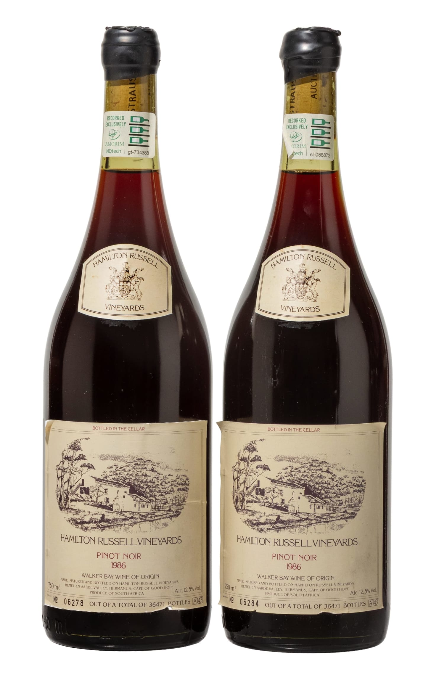 Pinot Noir 1986 2 (1 x 2) 750ml by Hamilton Russell Vineyards | Strauss ...