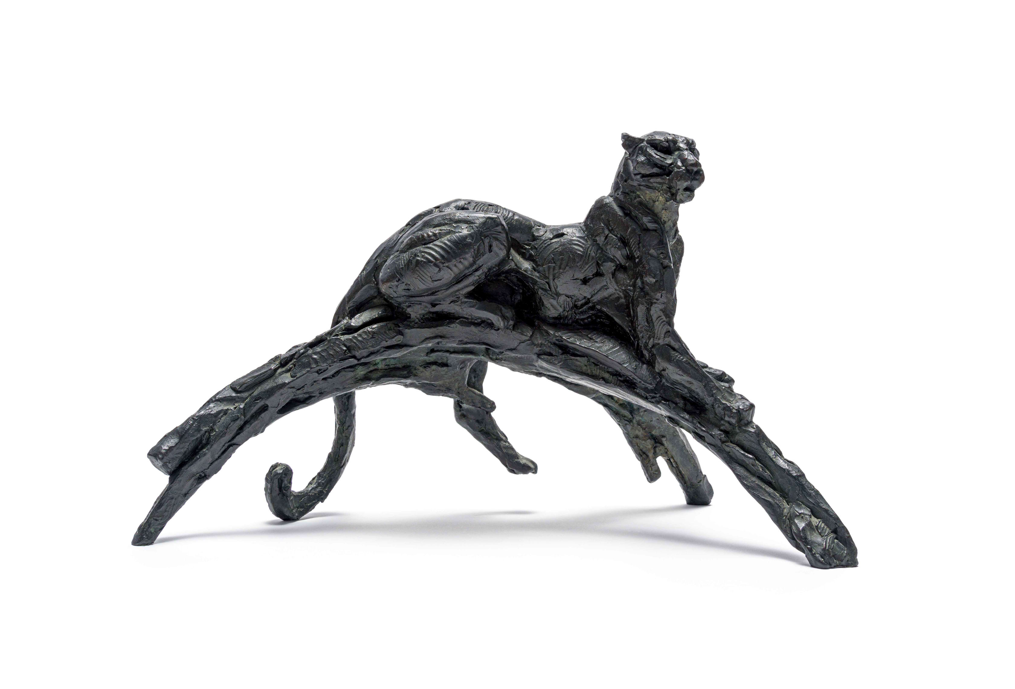 Lying Leopard, Maquette (S328) by Dylan Lewis | Strauss & Co