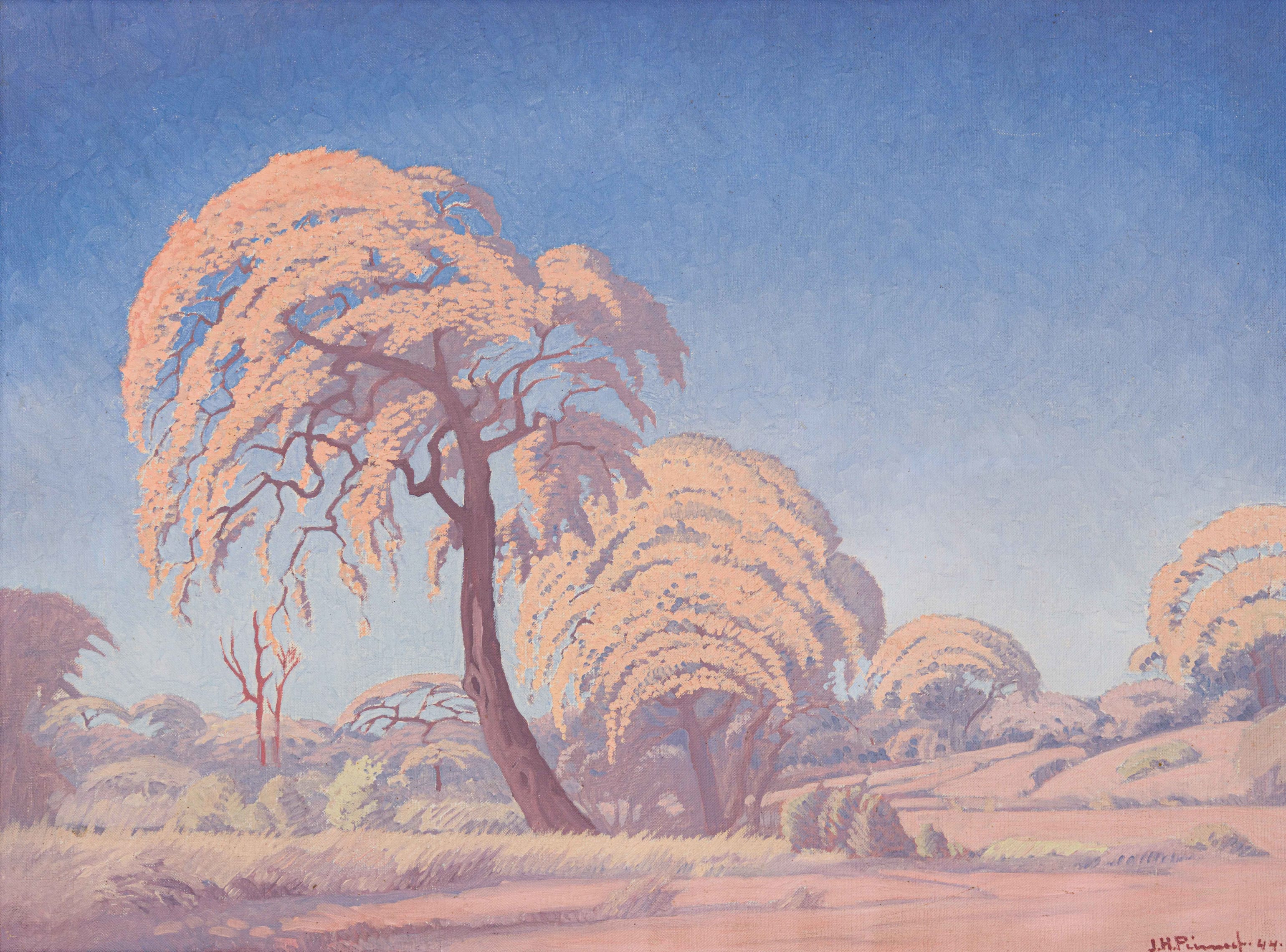 Bosveld by Krokodilrivier (Bushveld by Crocodile River) by Jacob ...