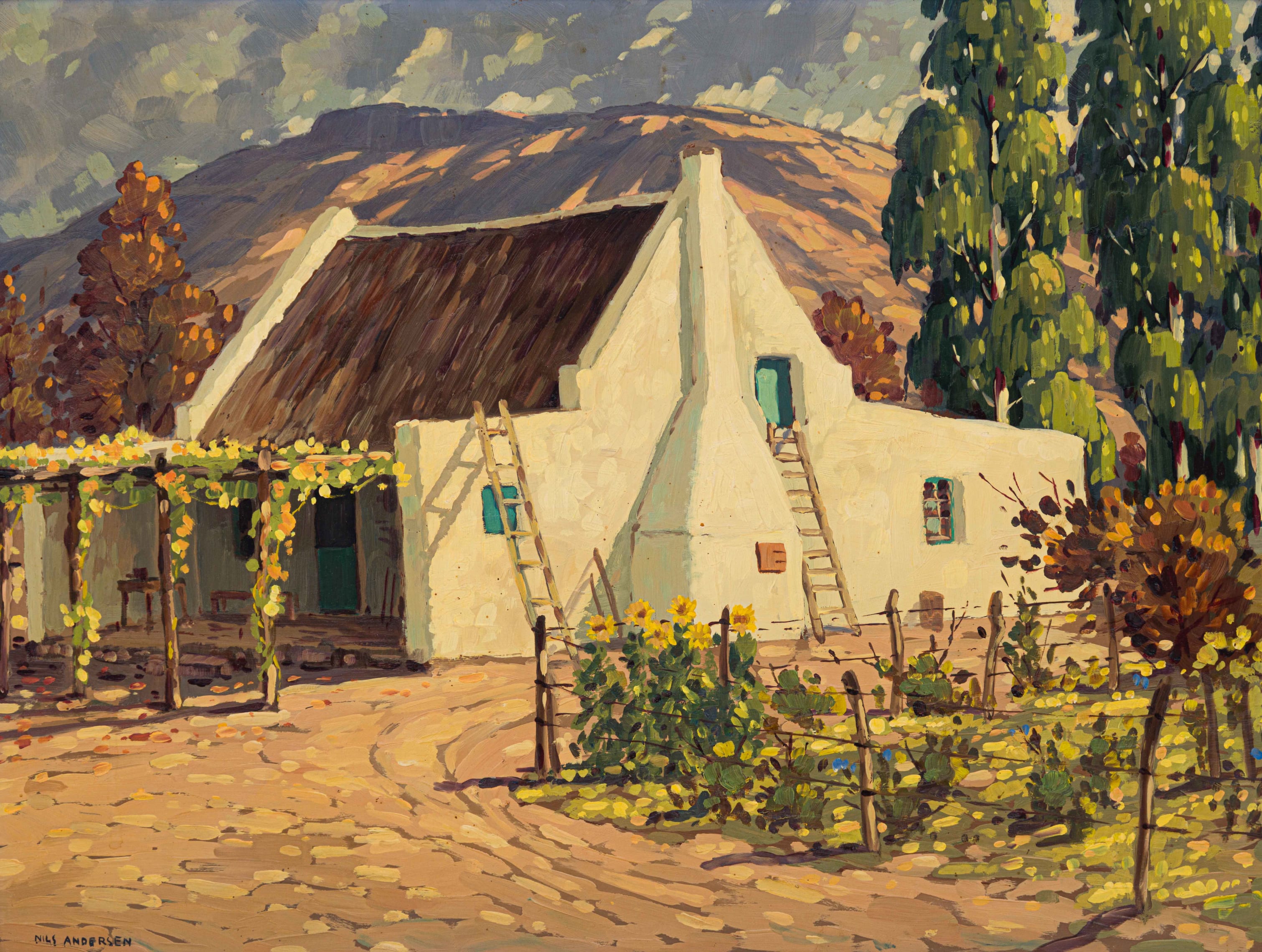 Cape Cottage by Nils Andersen | Strauss & Co