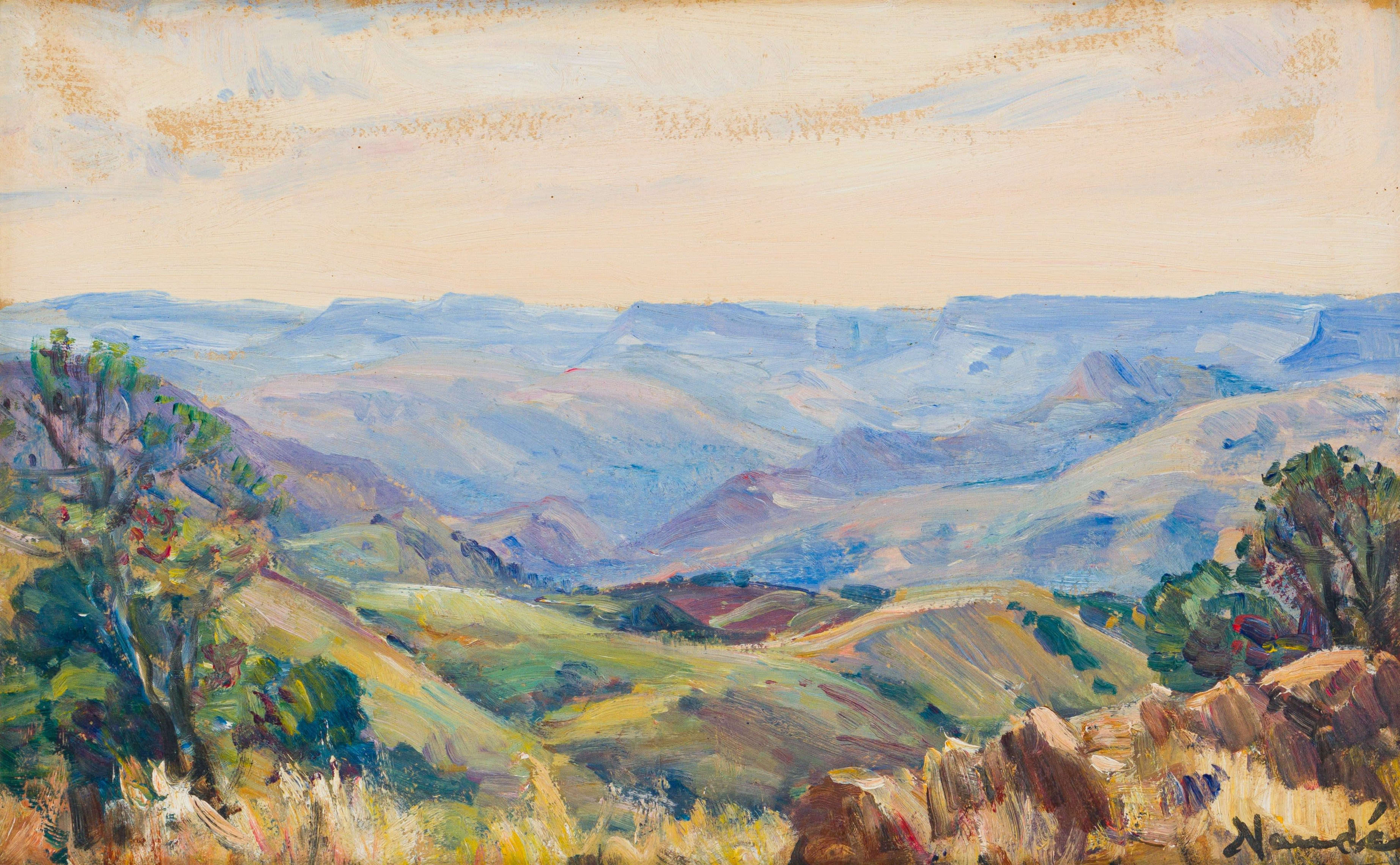 The Valley of a Thousand Hills by Hugo Naudé | Strauss & Co