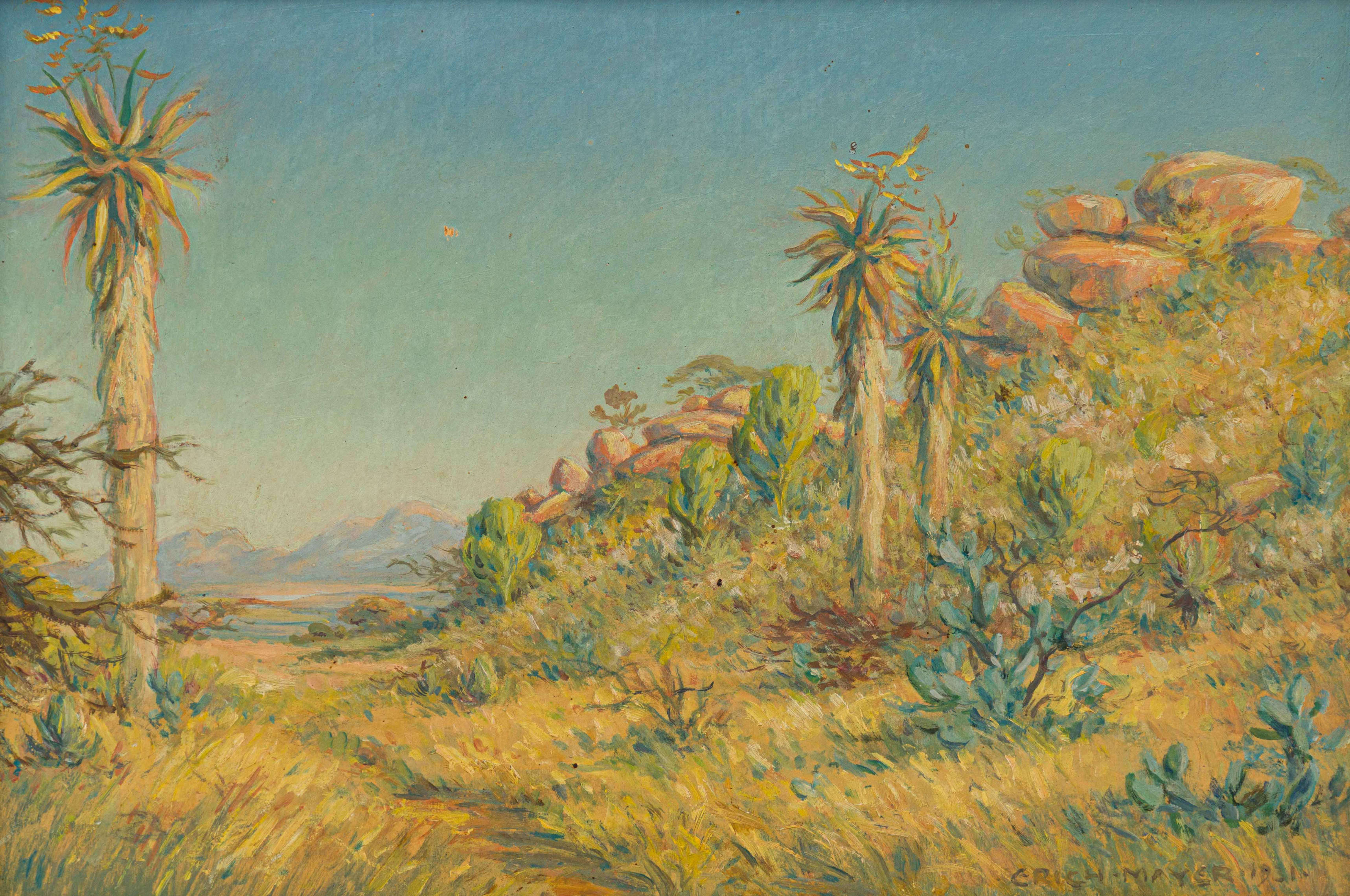 Landscape with Aloes by Erich Mayer | Strauss & Co