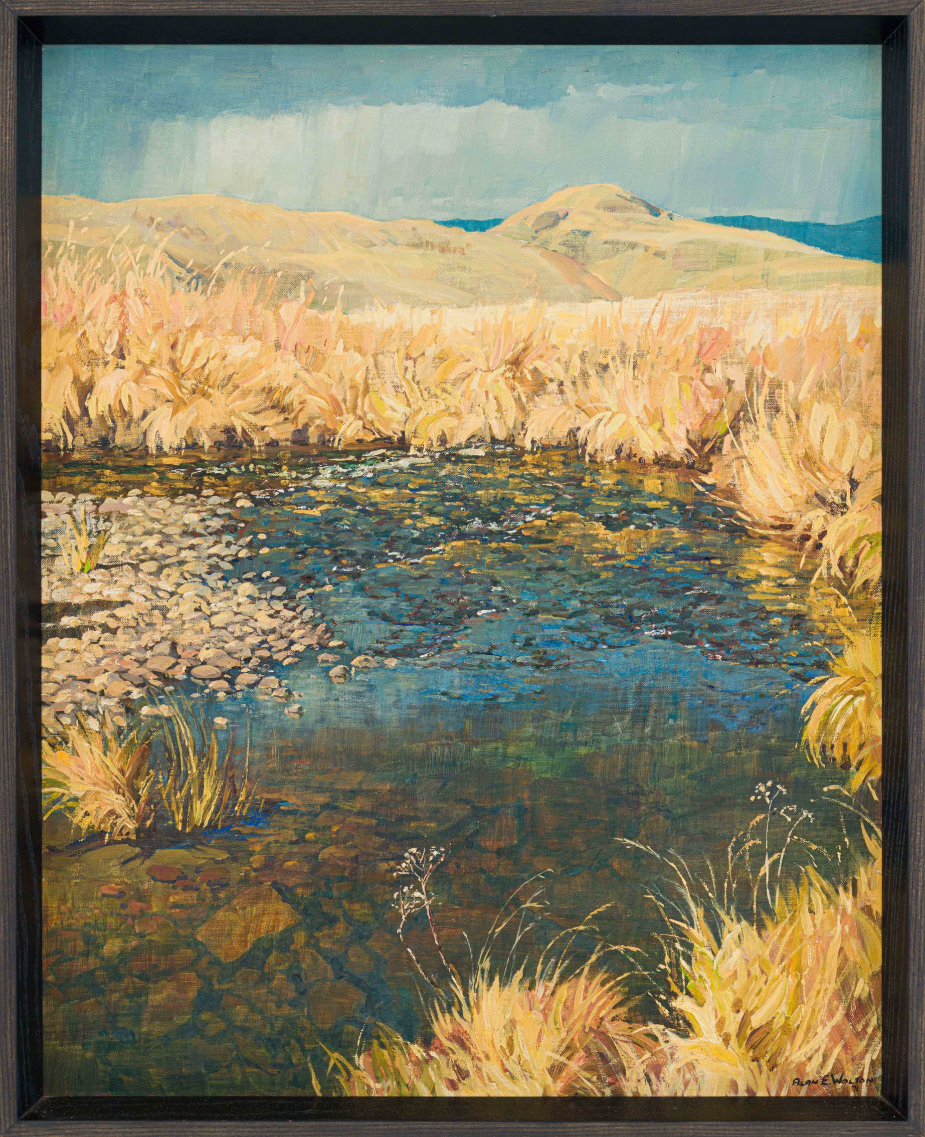 Wetland Landscape by Alan Wolton | Strauss & Co