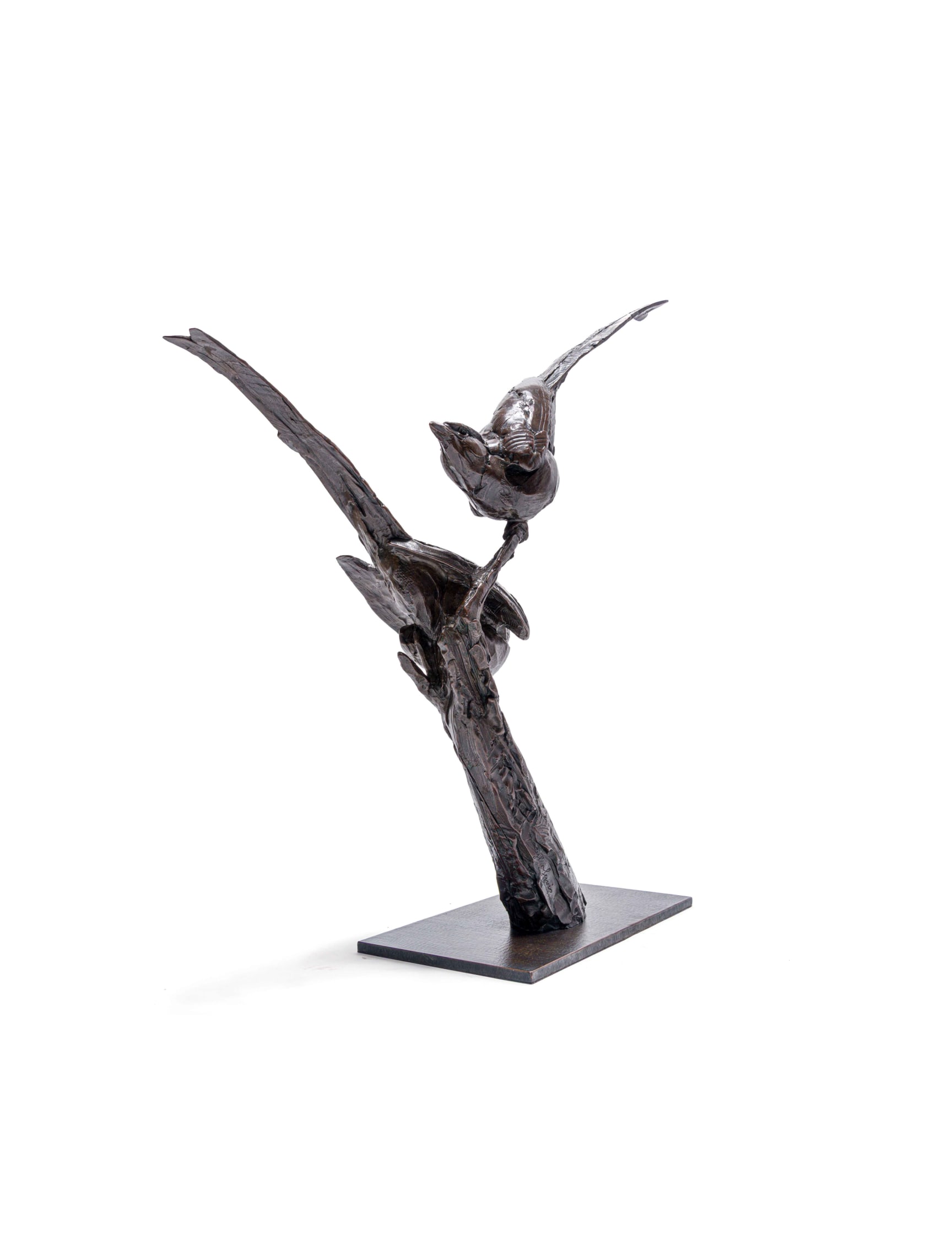 Eurasian Jay Pair (S139) by Dylan Lewis | Strauss & Co