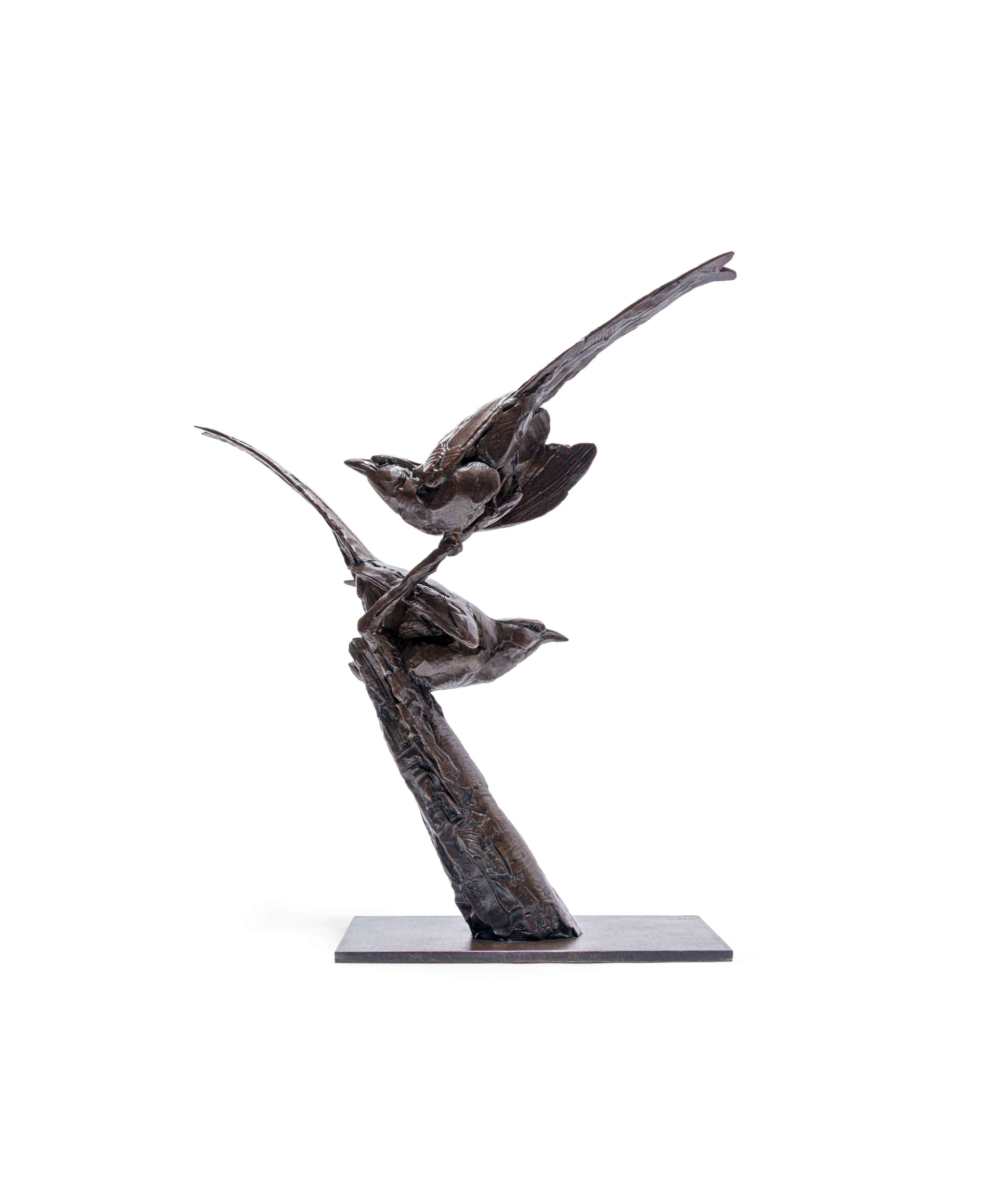 Eurasian Jay Pair (S139) by Dylan Lewis | Strauss & Co