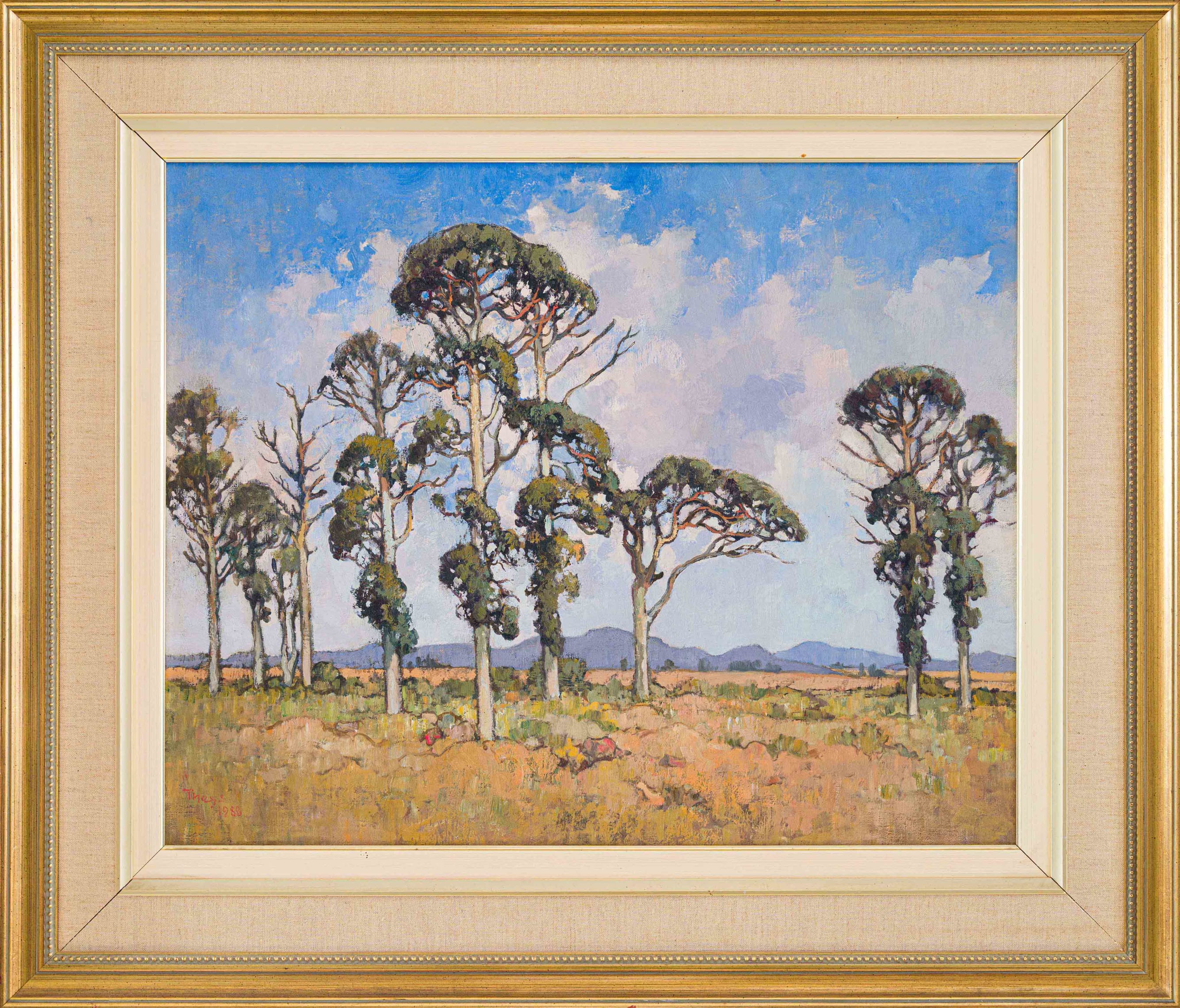 Bome in die Sandveld (Trees in the Sandveld) by Conrad Theys | Strauss & Co