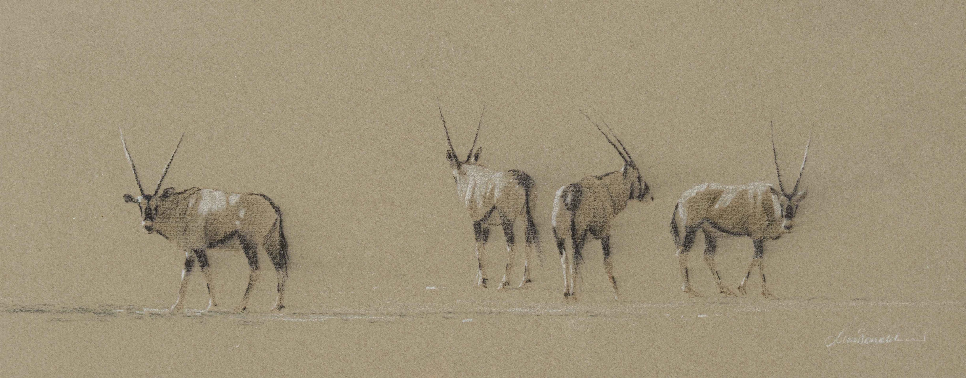 Gemsbok by Kim Donaldson | Strauss & Co