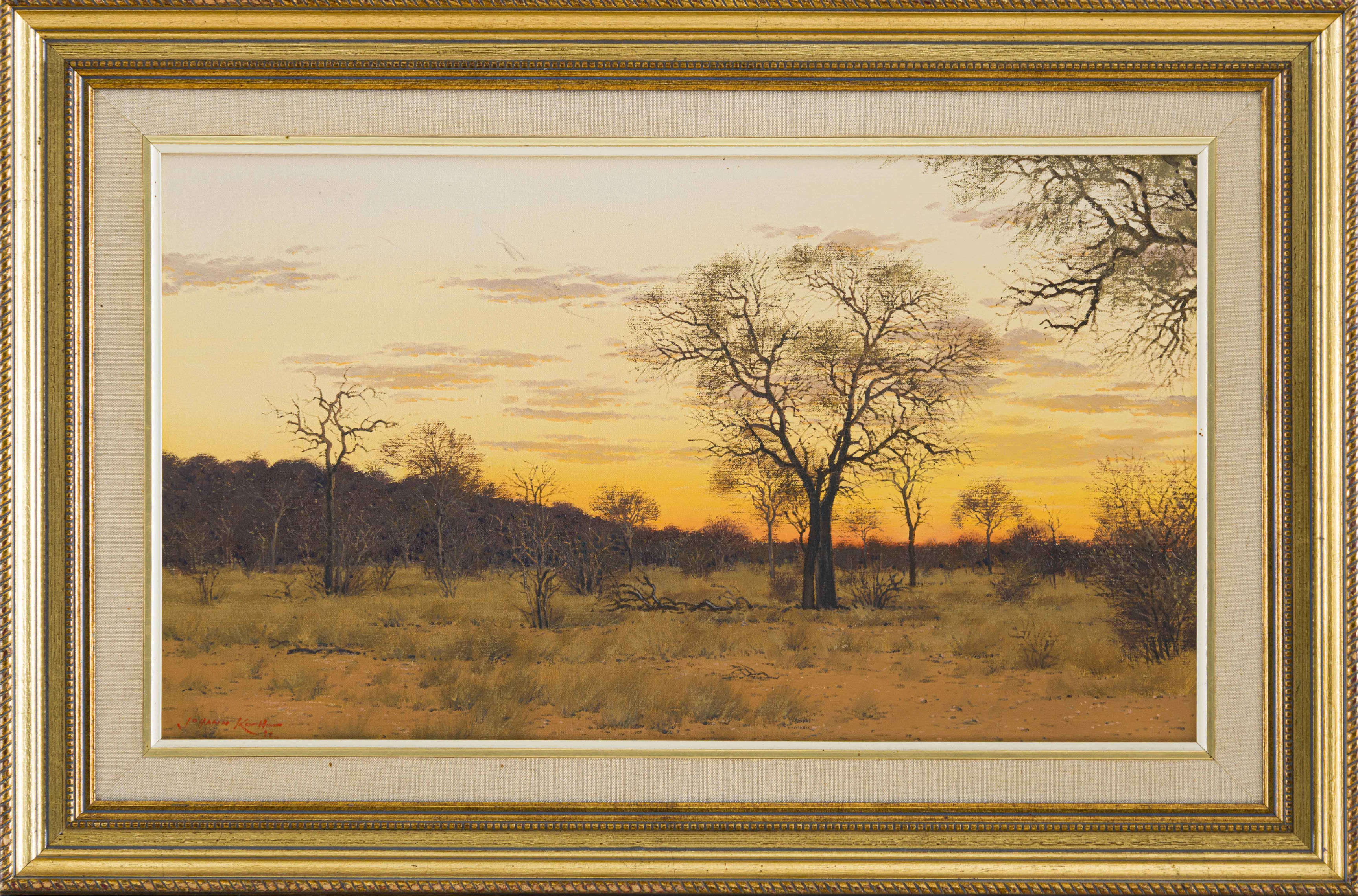 Sunset Bushveld Scene by Johann Koch | Strauss & Co