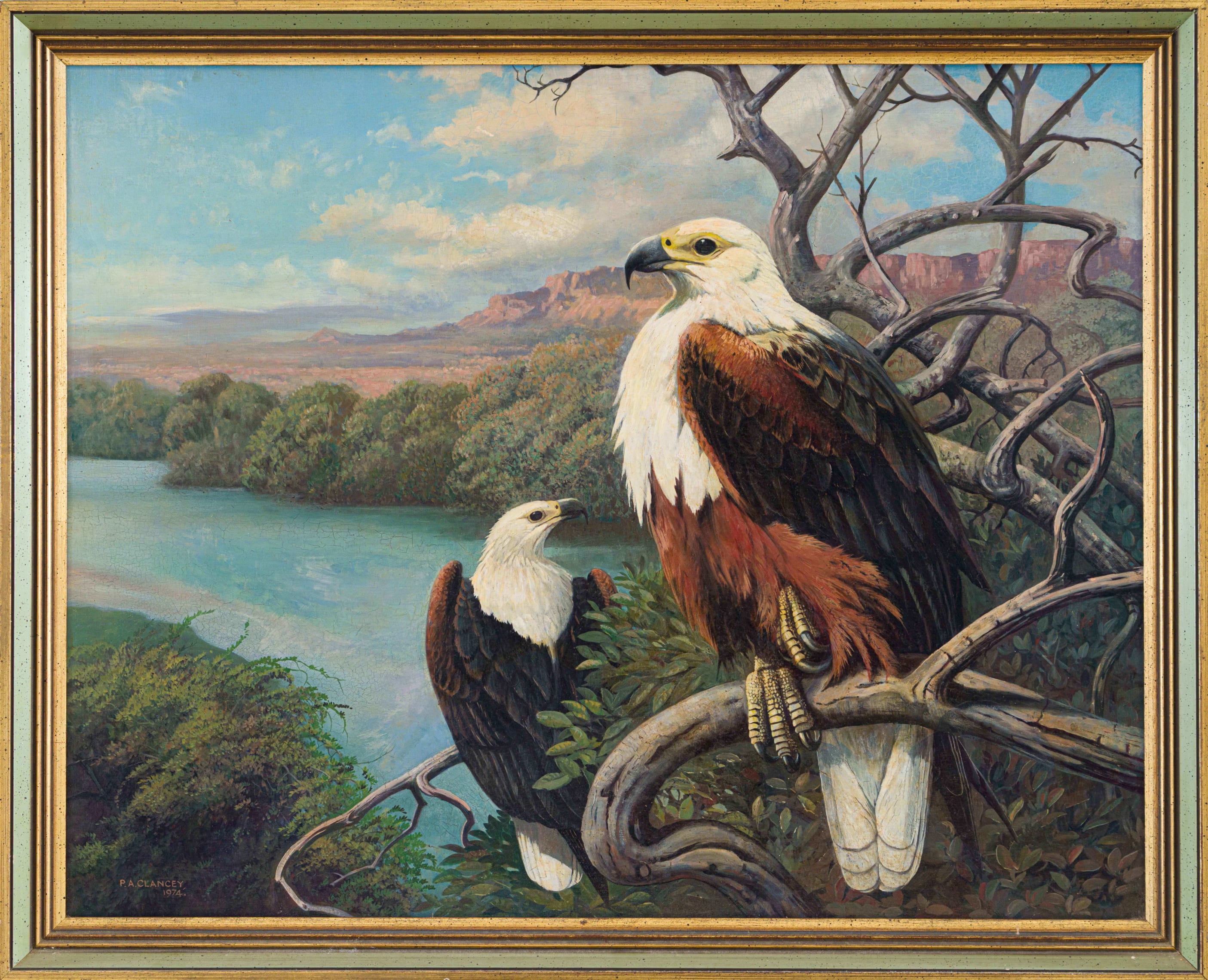 Fish Eagle by Phillip Alexander Clancey | Strauss & Co