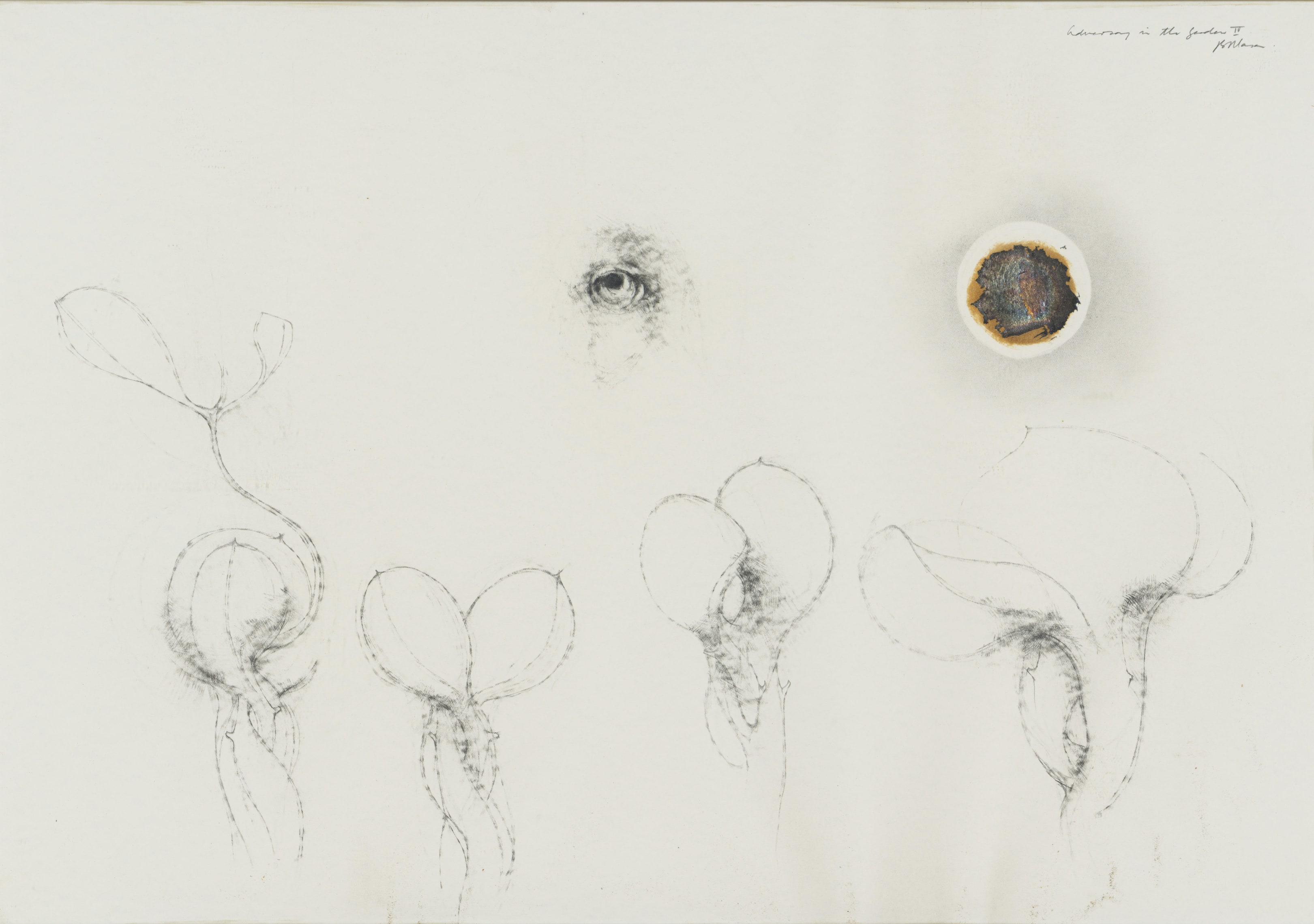 Adversary in the Garden IV by Judith Mason | Strauss & Co