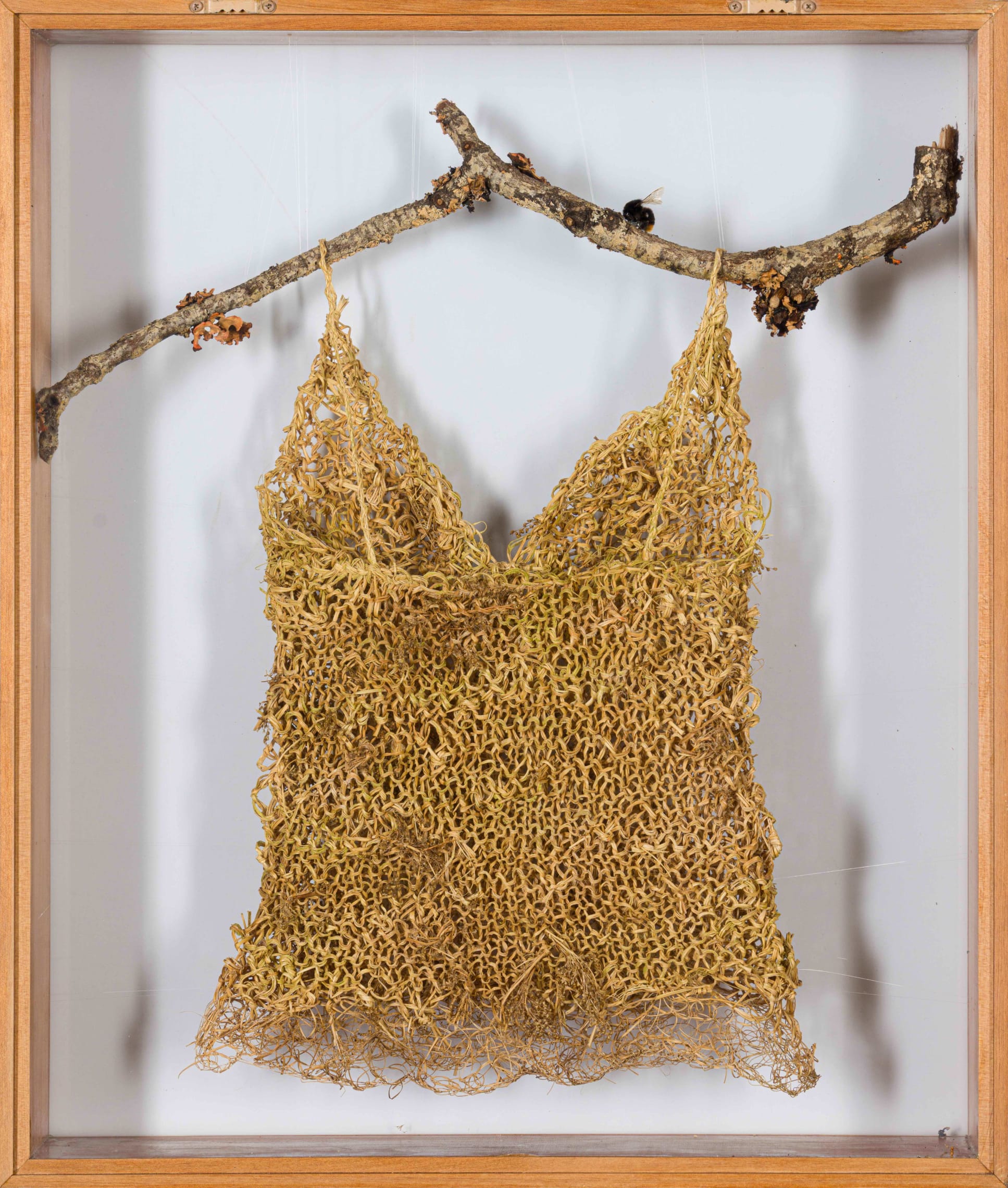 Interwoven by Berdine van der Mescht | Strauss & Co