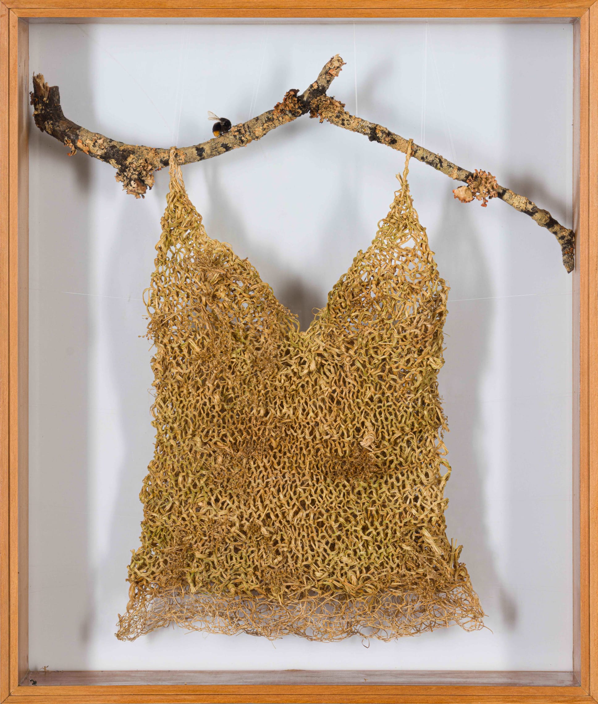 Interwoven by Berdine van der Mescht | Strauss & Co