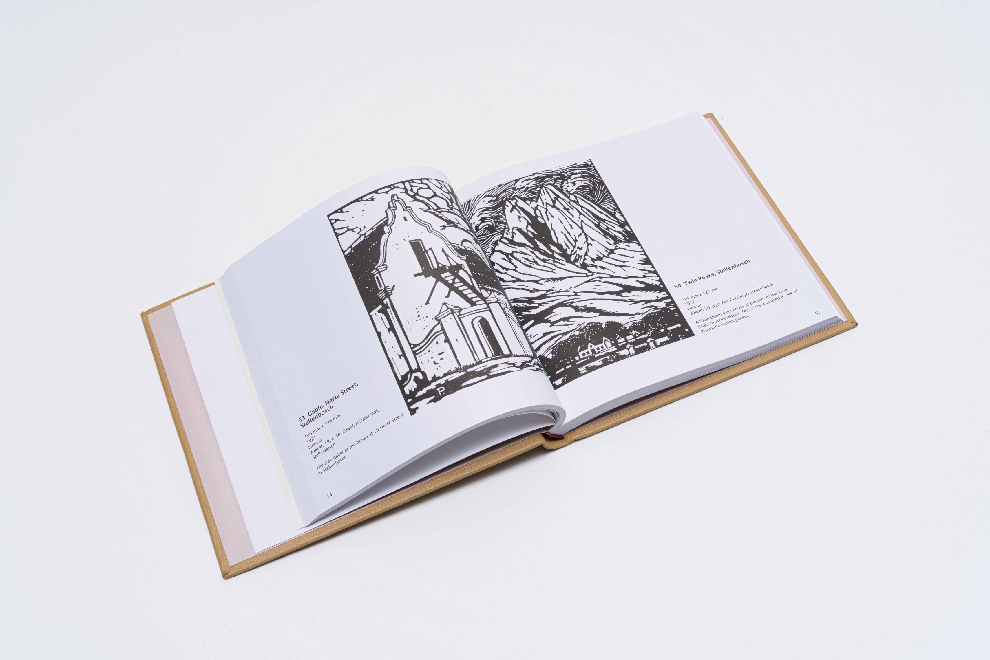 JH Pierneef in Print deluxe edition by Gerard de Kamper and Chris de ...