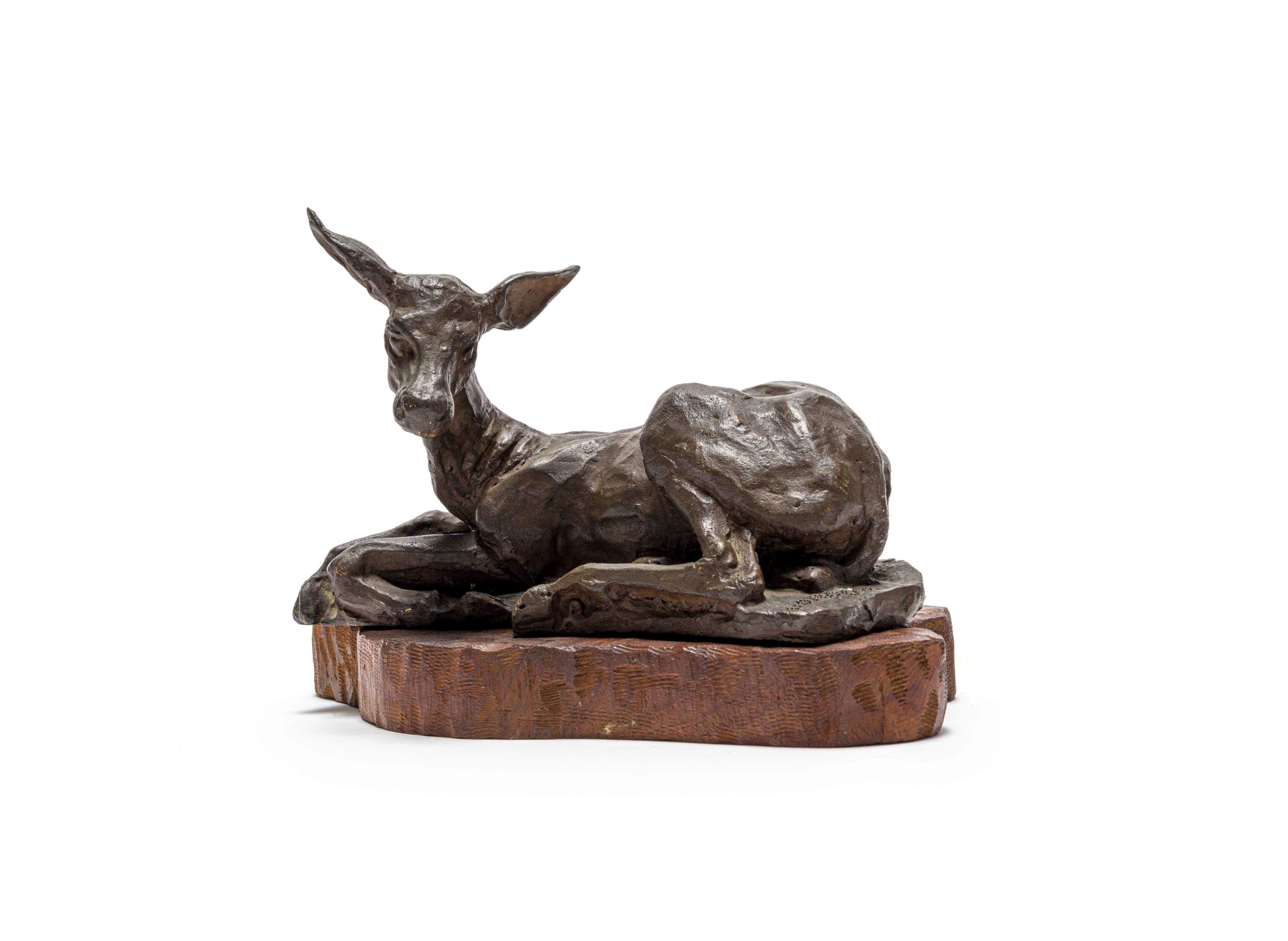 Impala by Jo Roos | Strauss & Co