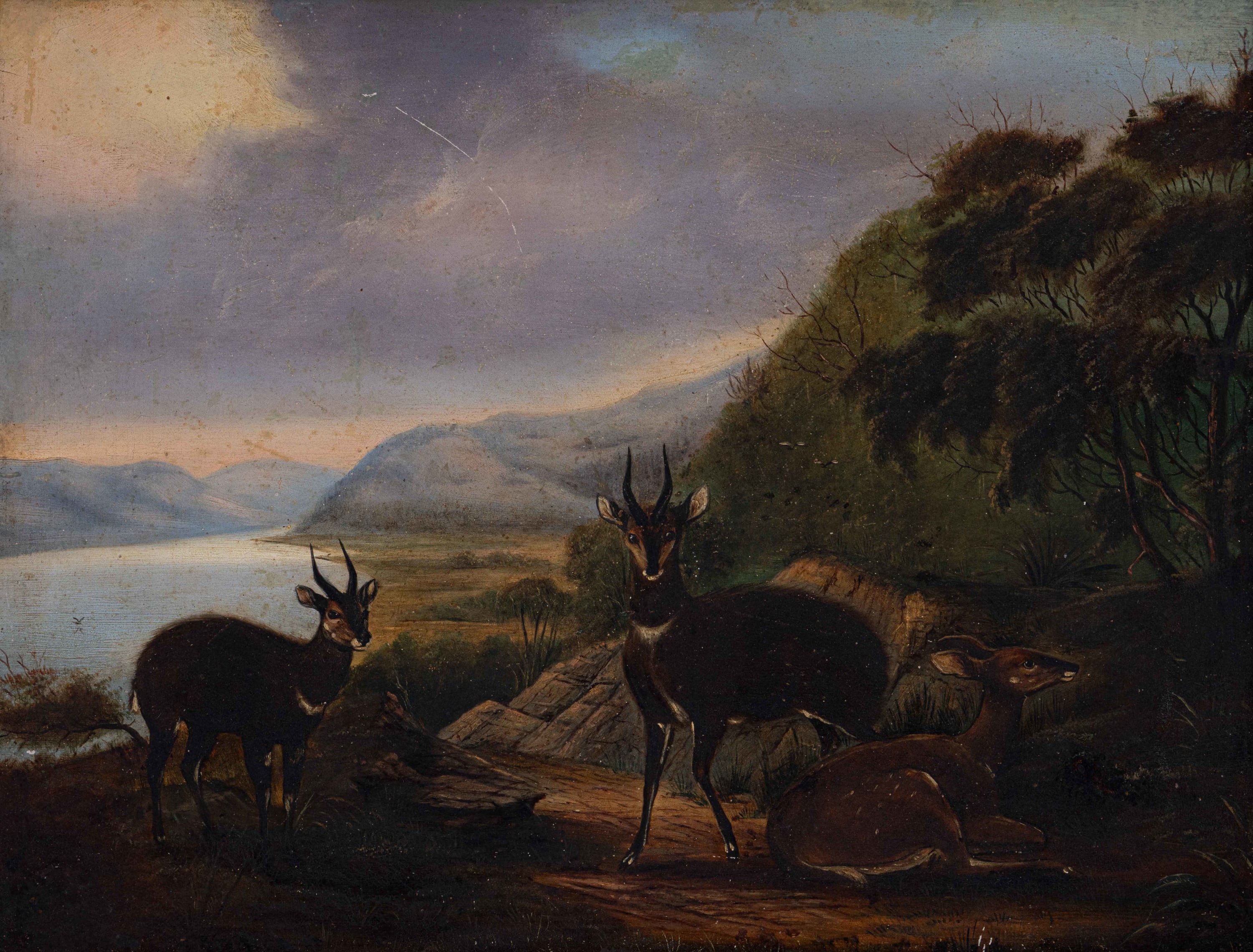 Three Buck in a Landscape by Circle of Thomas Baines | Strauss & Co